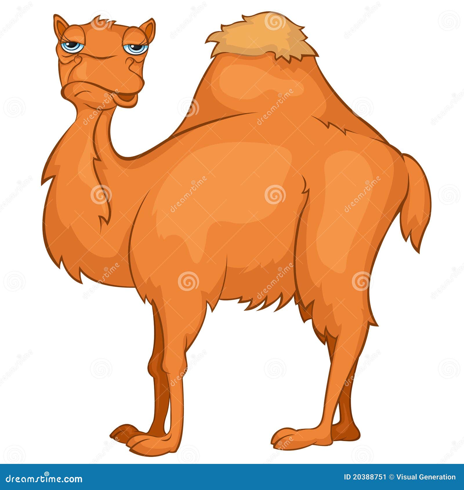Cartoon Character Camel stock vector. Illustration of dromedary - 20388751