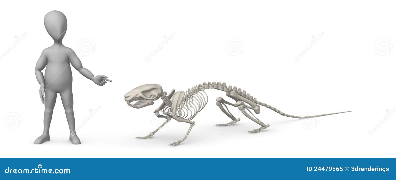 Cartoon Character with Mouse Skeleton Showing it Stock Illustration ...