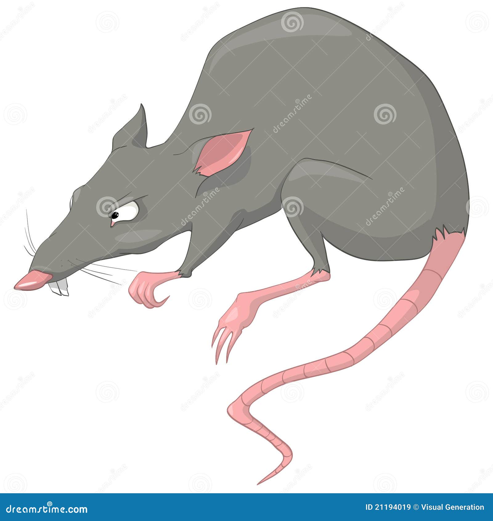 Cartoon Character Rat stock vector. Illustration of mammal - 21194019