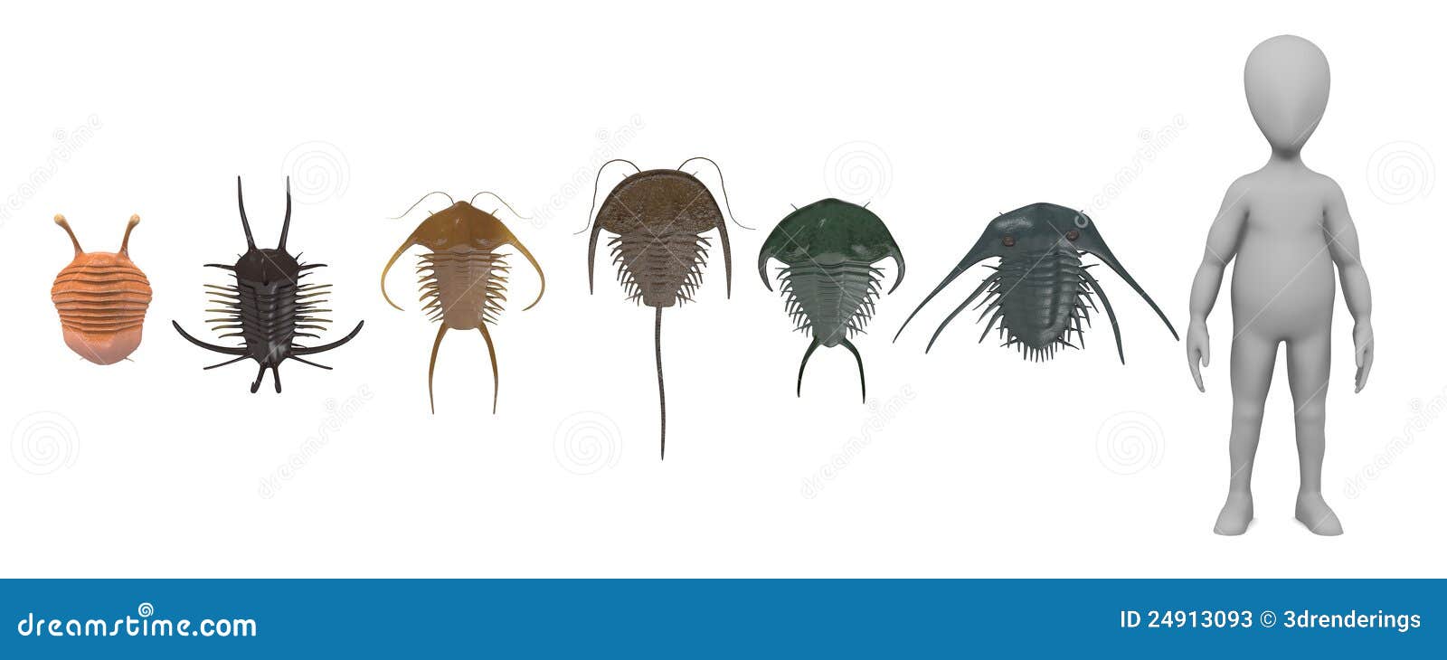 Cartoon Character with Trilobites Set Stock Illustration - Illustration ...