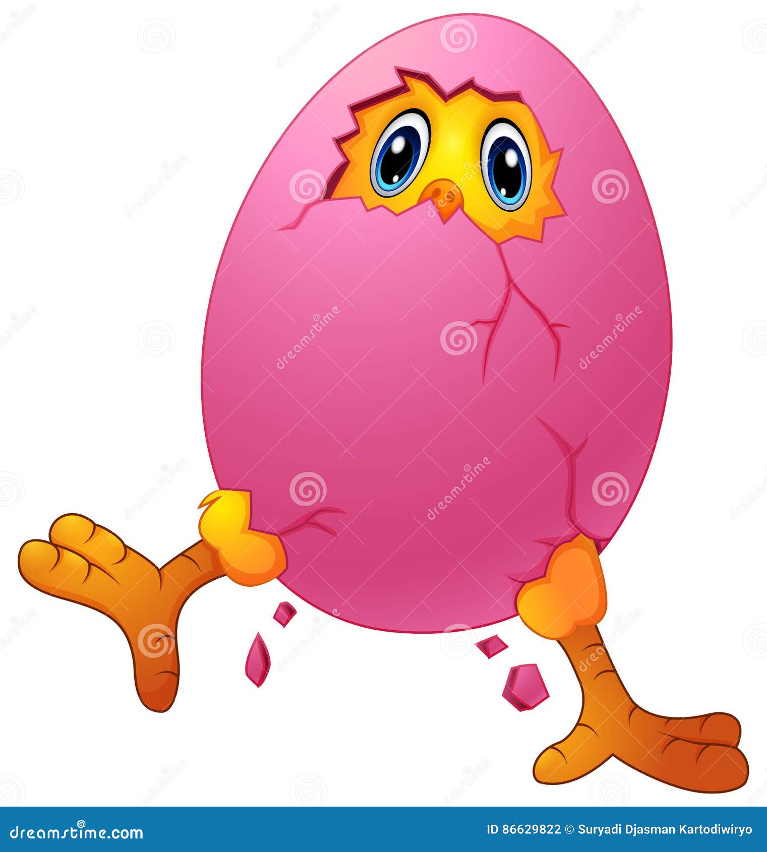 Cracked Eggshell. Sketch. Two Shells From A Chicken Egg. Vector ...