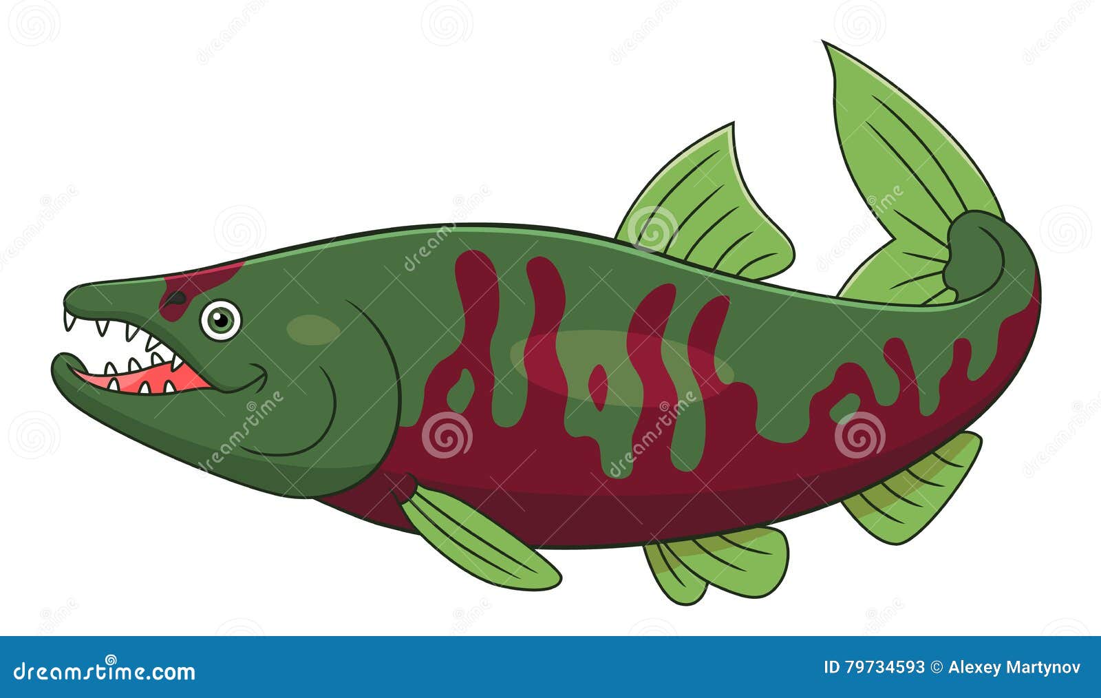 Cartoon chum salmon stock vector. Illustration of fishing - 79734593