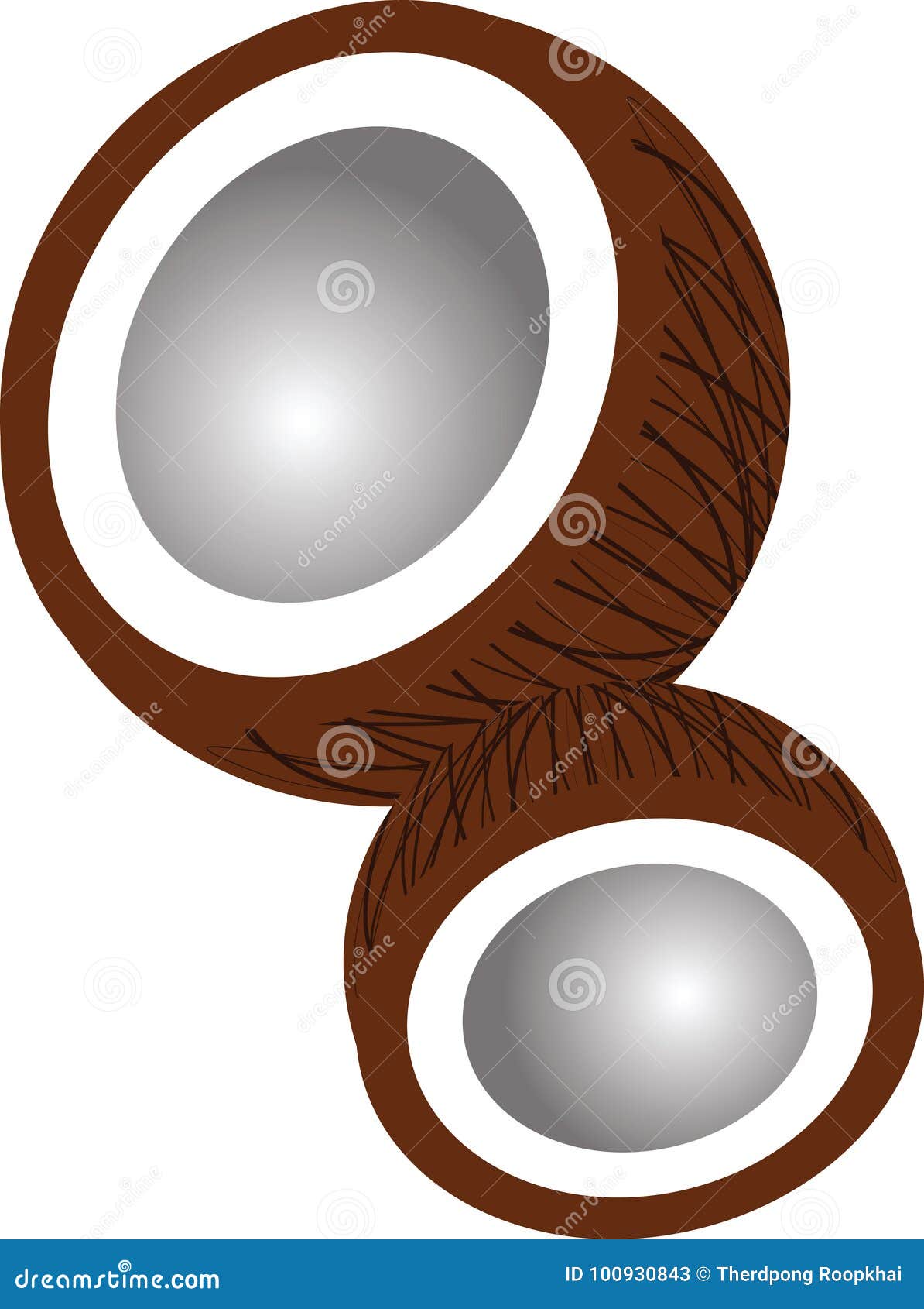 Coconut shell stock vector. Illustration of coco, palm - 100930843