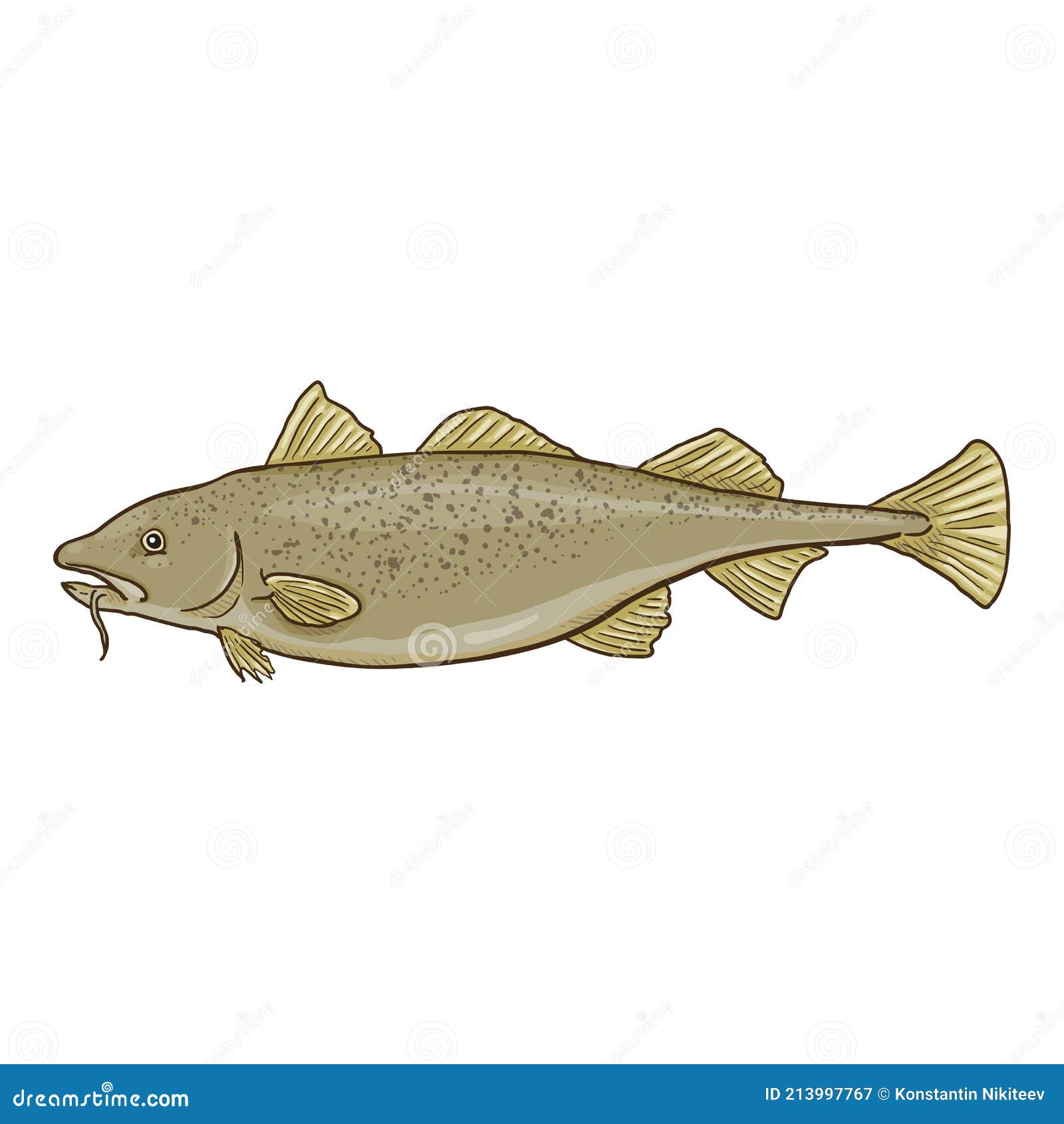 Cartoon Cod Fish Vector Illustration Stock Vector - Illustration of ...