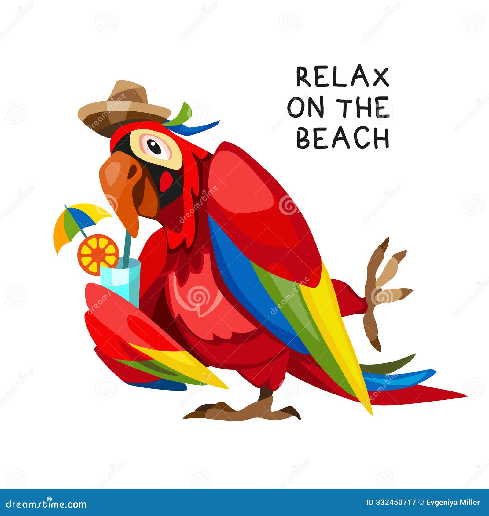Cartoon Colorful Parrot Vector Isolated Stock Illustration ...