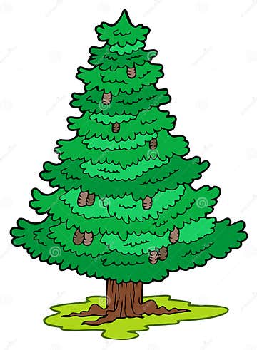 Cartoon coniferous tree stock vector. Illustration of organic - 15124577