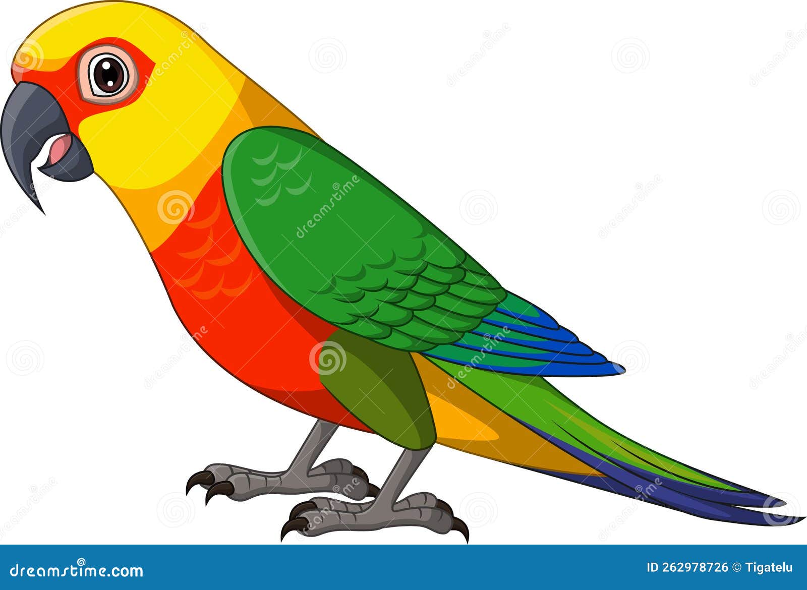 Cartoon Conure Jenday Parakeet on White Background Stock Vector ...