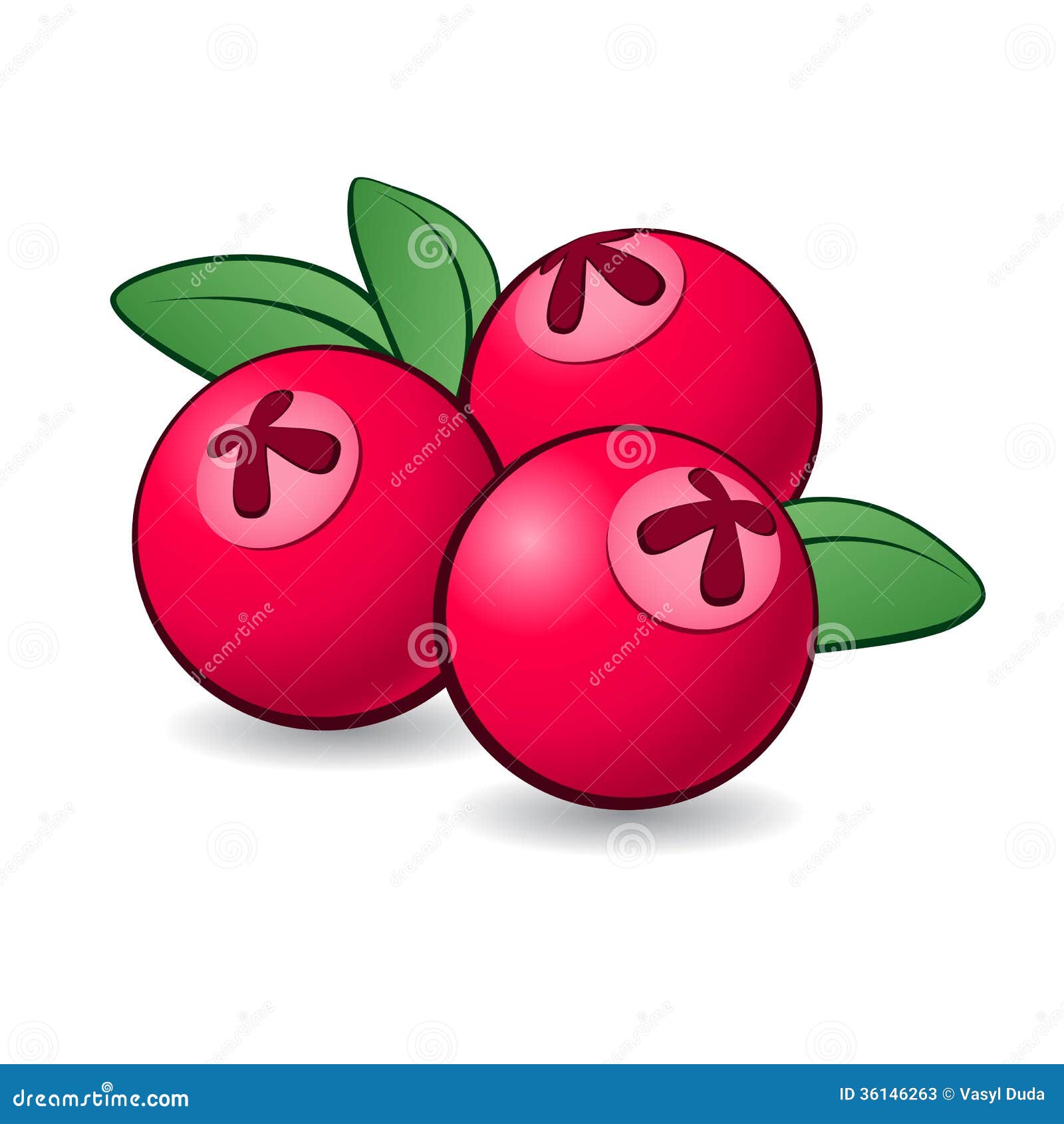 Cartoon cranberry. stock vector. Illustration of colorful - 36146263