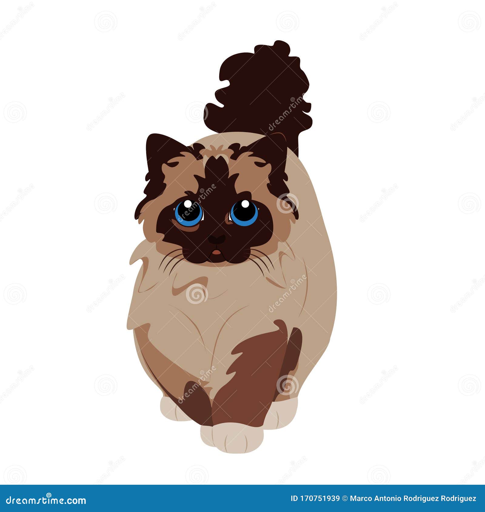 Cartoon Cute Fluffy Cat Illustration Isolated Stock Illustration ...