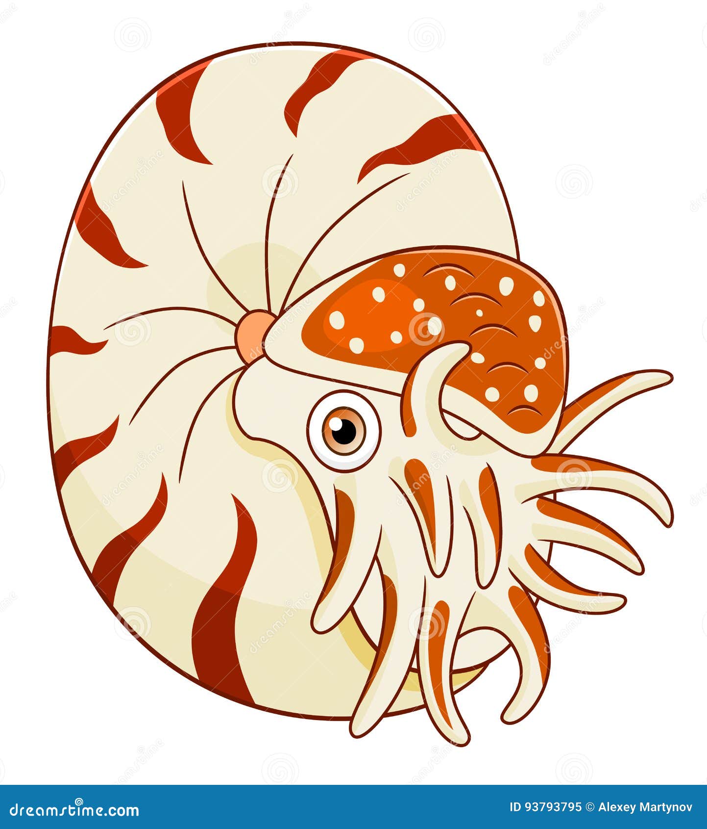 Cartoon Nautilus. Vector Illustration. Coloring And Dot To Dot G ...