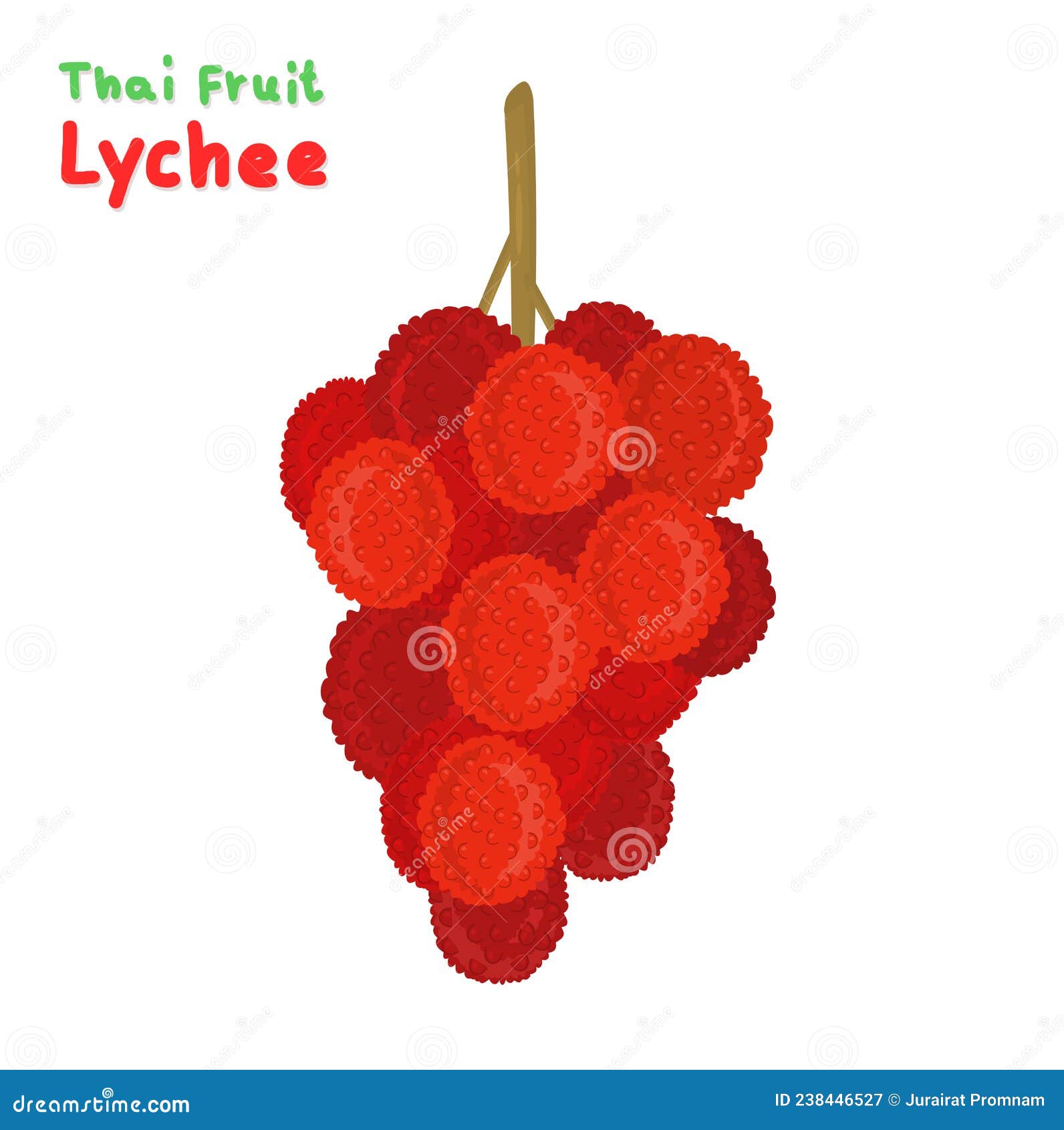 Cartoon Lychee Vector on Background. Stock Vector - Illustration of ...