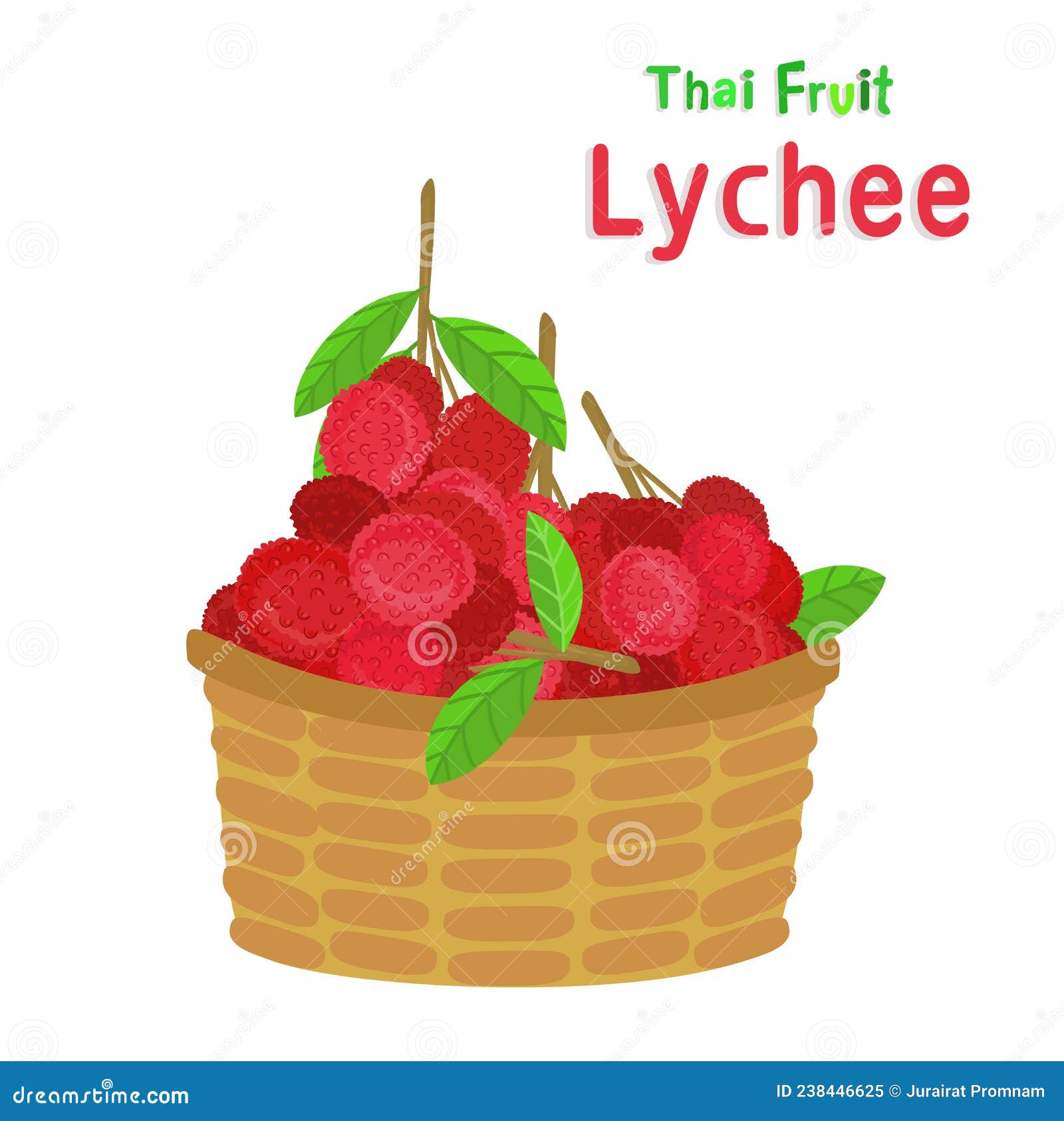 Cartoon Lychee Vector on Background. Stock Vector - Illustration of ...