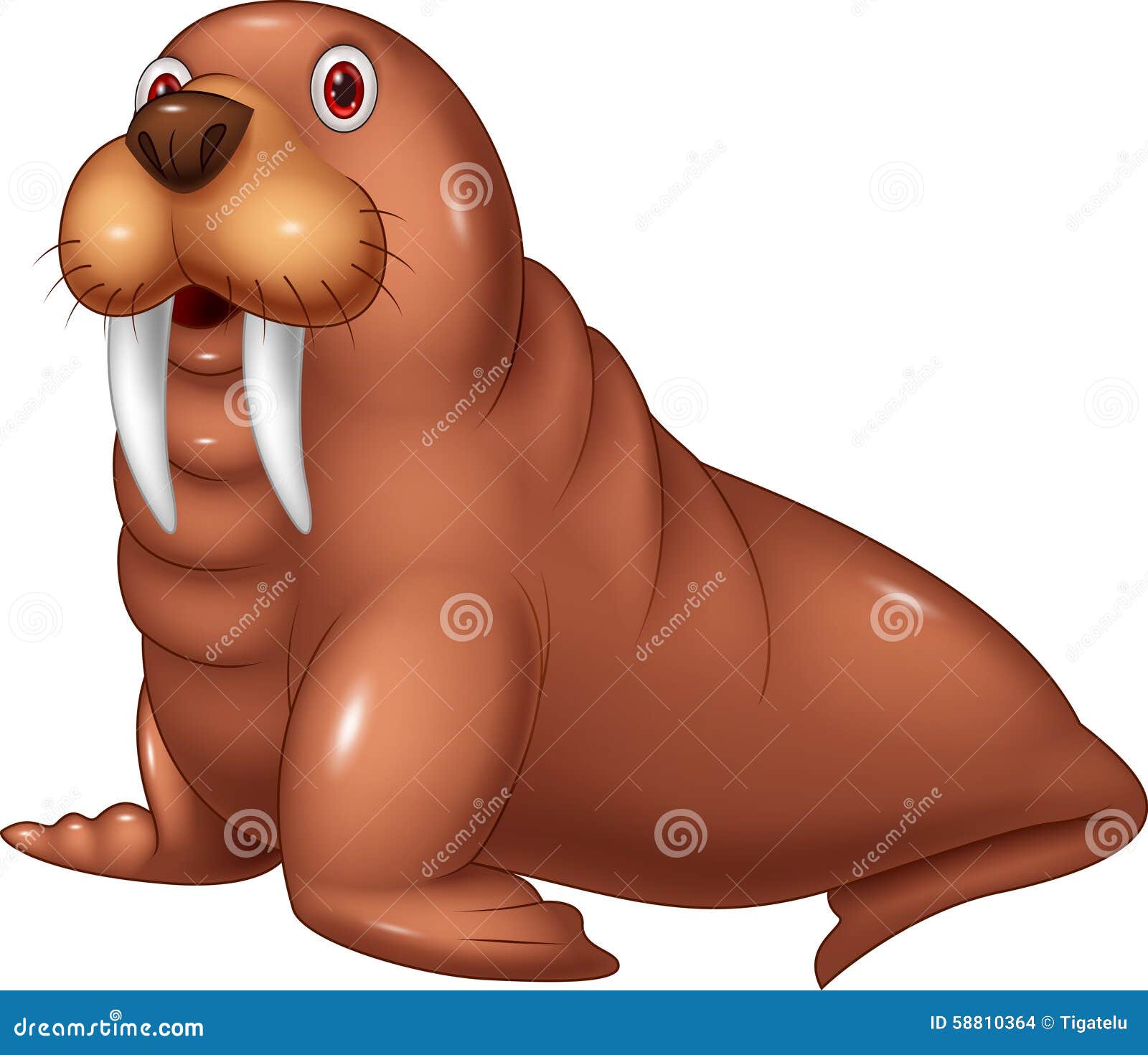 Walrus Cartoon Vector | CartoonDealer.com #23730457