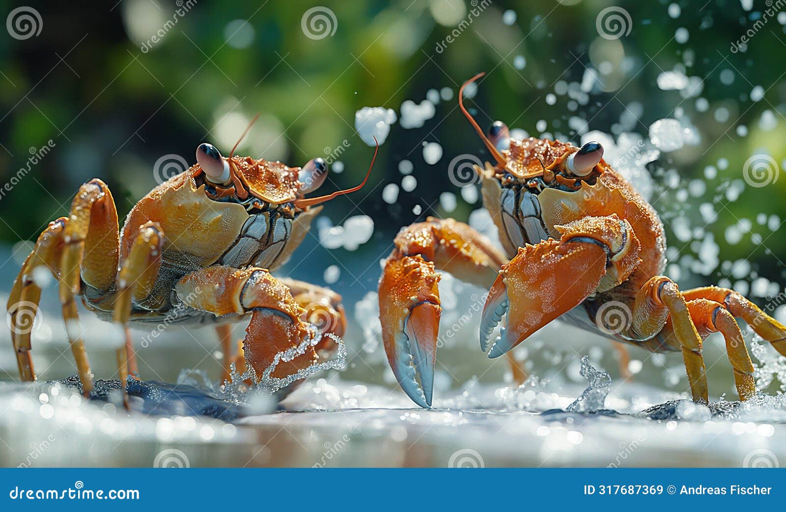 Cartoon, 3D, Two Crabs Walking in the Water Along the Shore. Stock ...