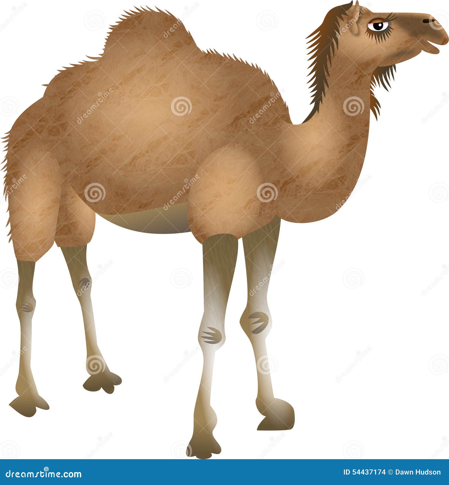 Cartoon Desert Camel stock illustration. Illustration of white - 54437174
