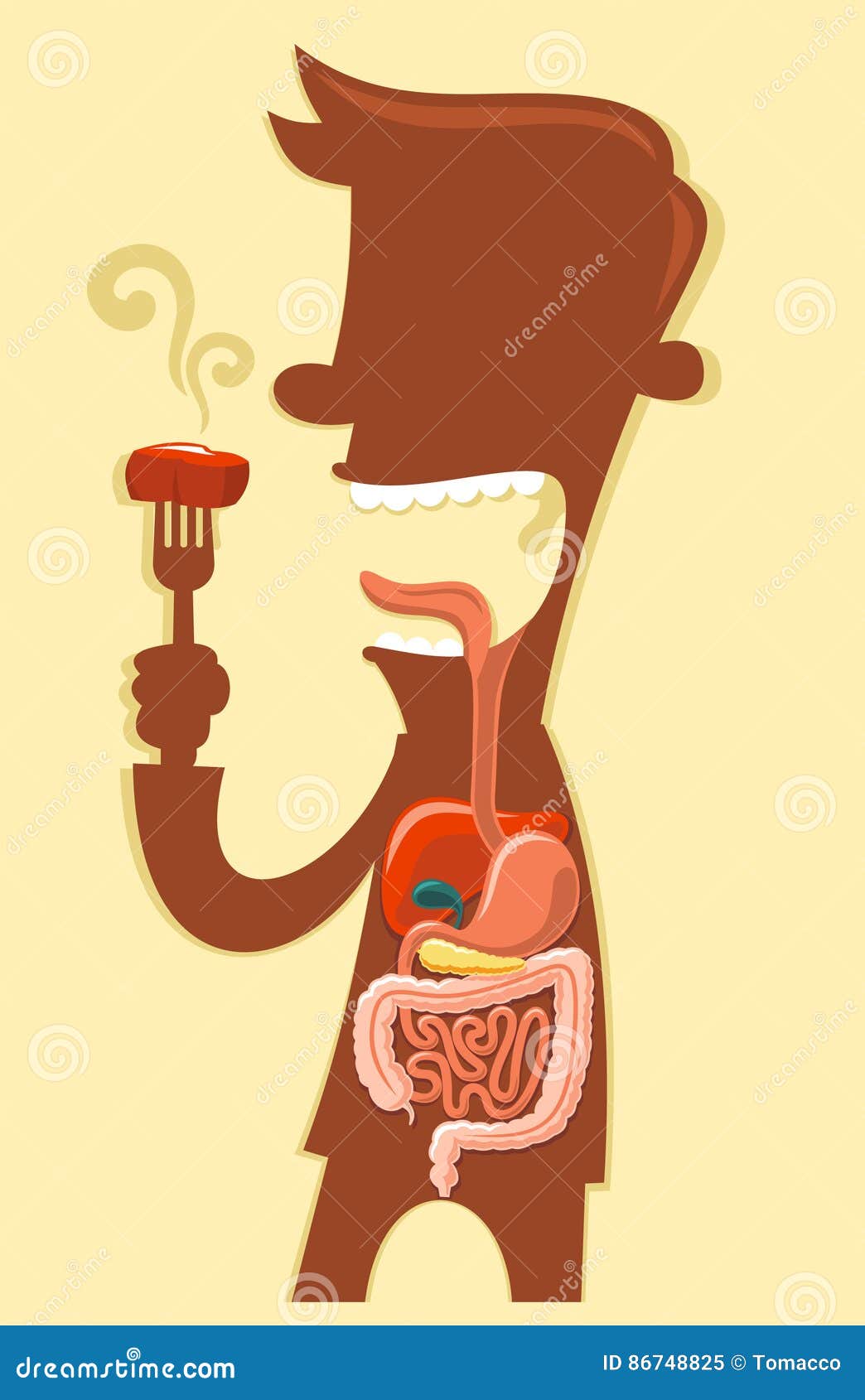 Cartoon Digestive System Royalty-Free Stock Photo | CartoonDealer.com ...