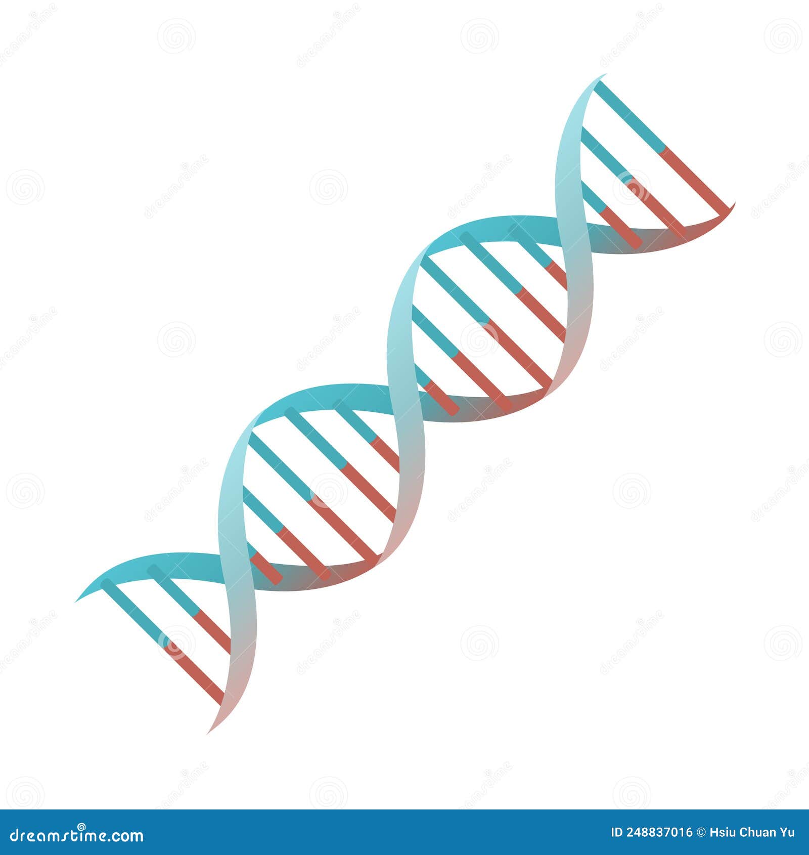 Cartoon Dna Spiral Genes Vector Isolated Object Illustration 248837016