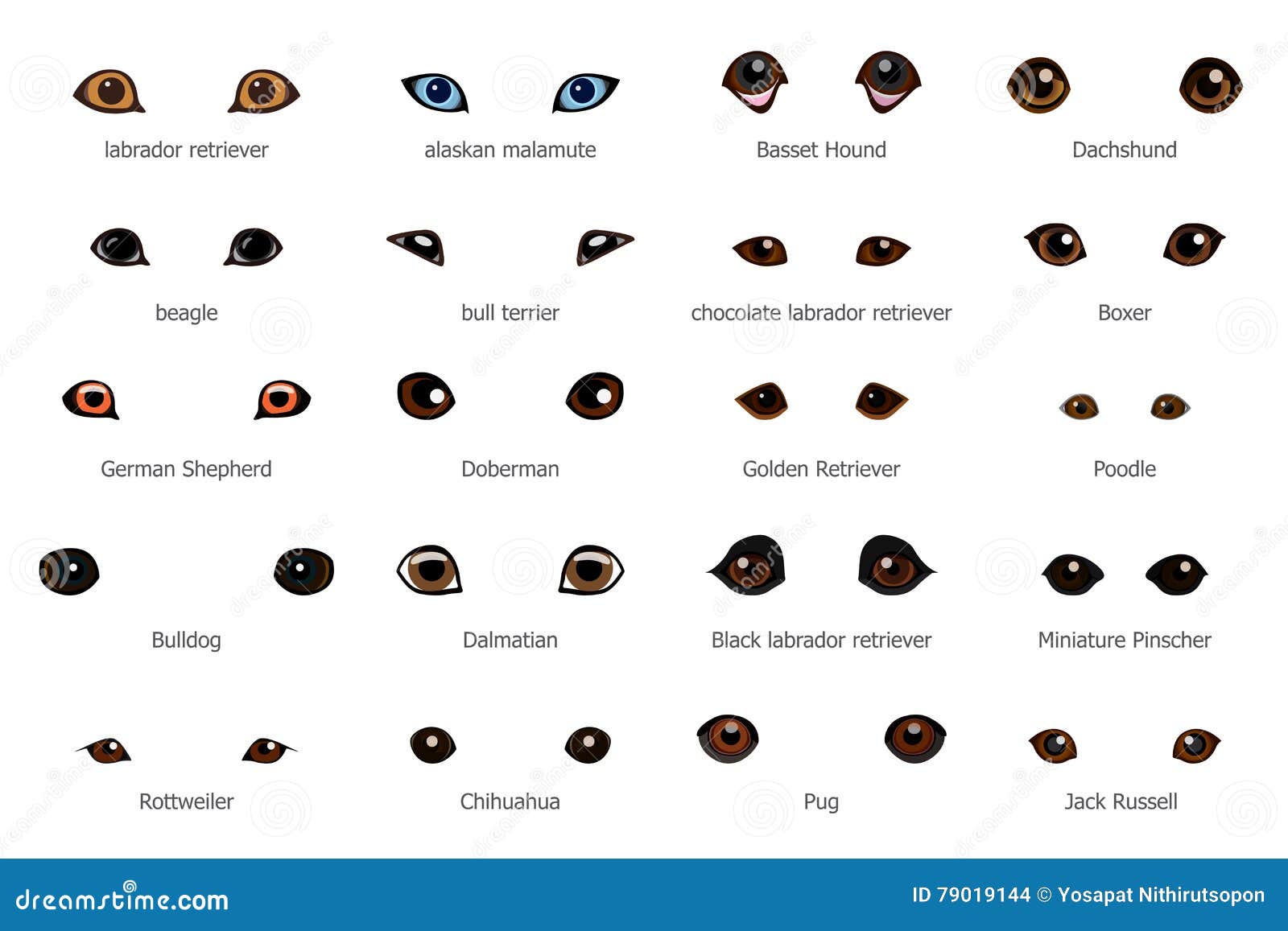 Dog Eyes Stock Illustrations – 15,245 Dog Eyes Stock Illustrations ...