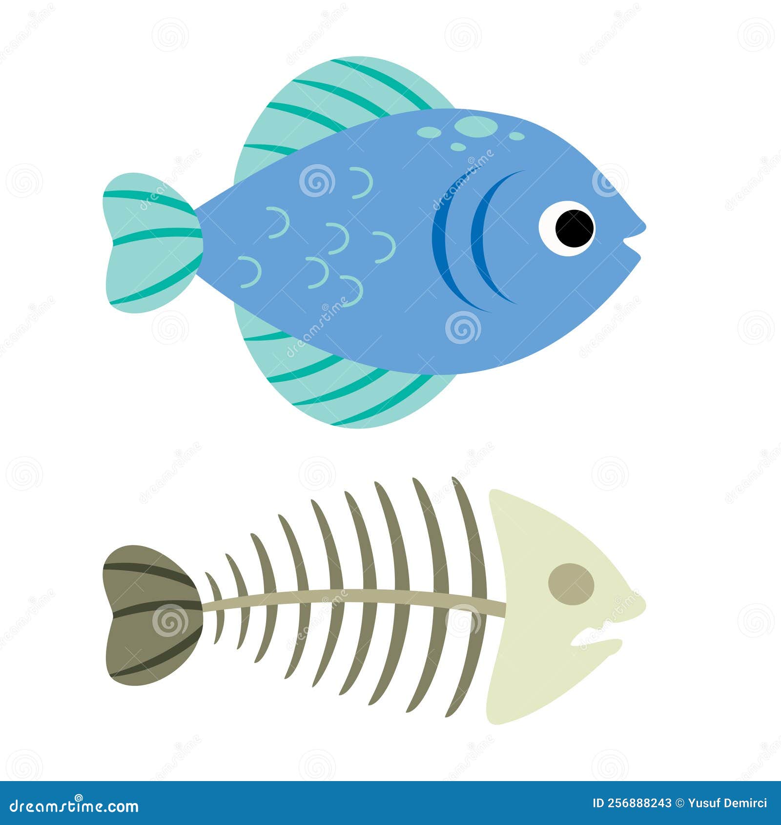 Cartoon Drawing of a Fish Bone Stock Illustration - Illustration of ...