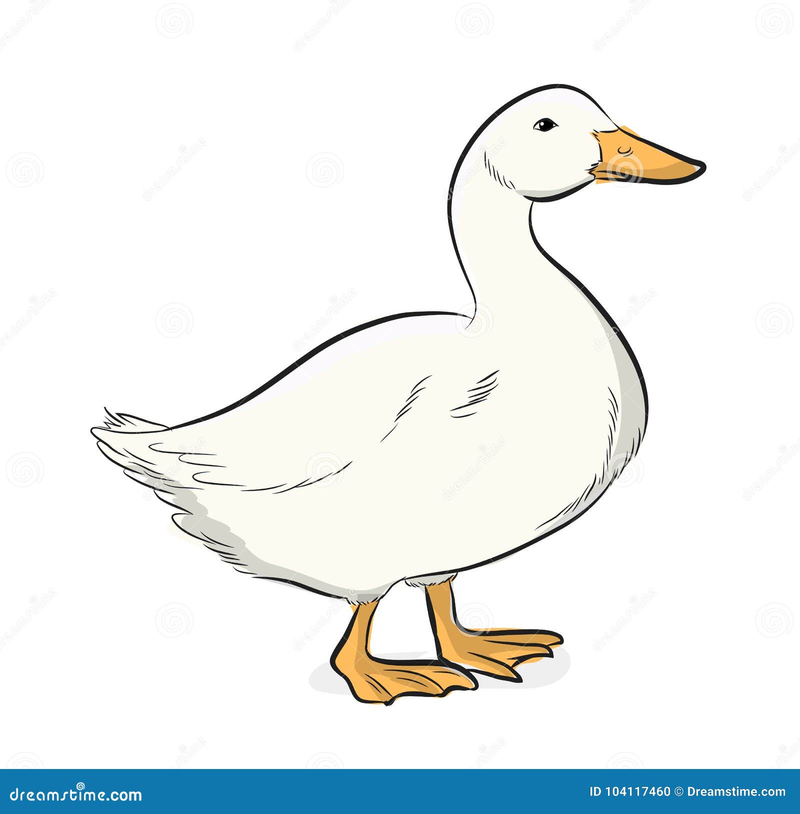 Cartoon Duck Vector Illustration Stock Vector - Illustration of healthy ...