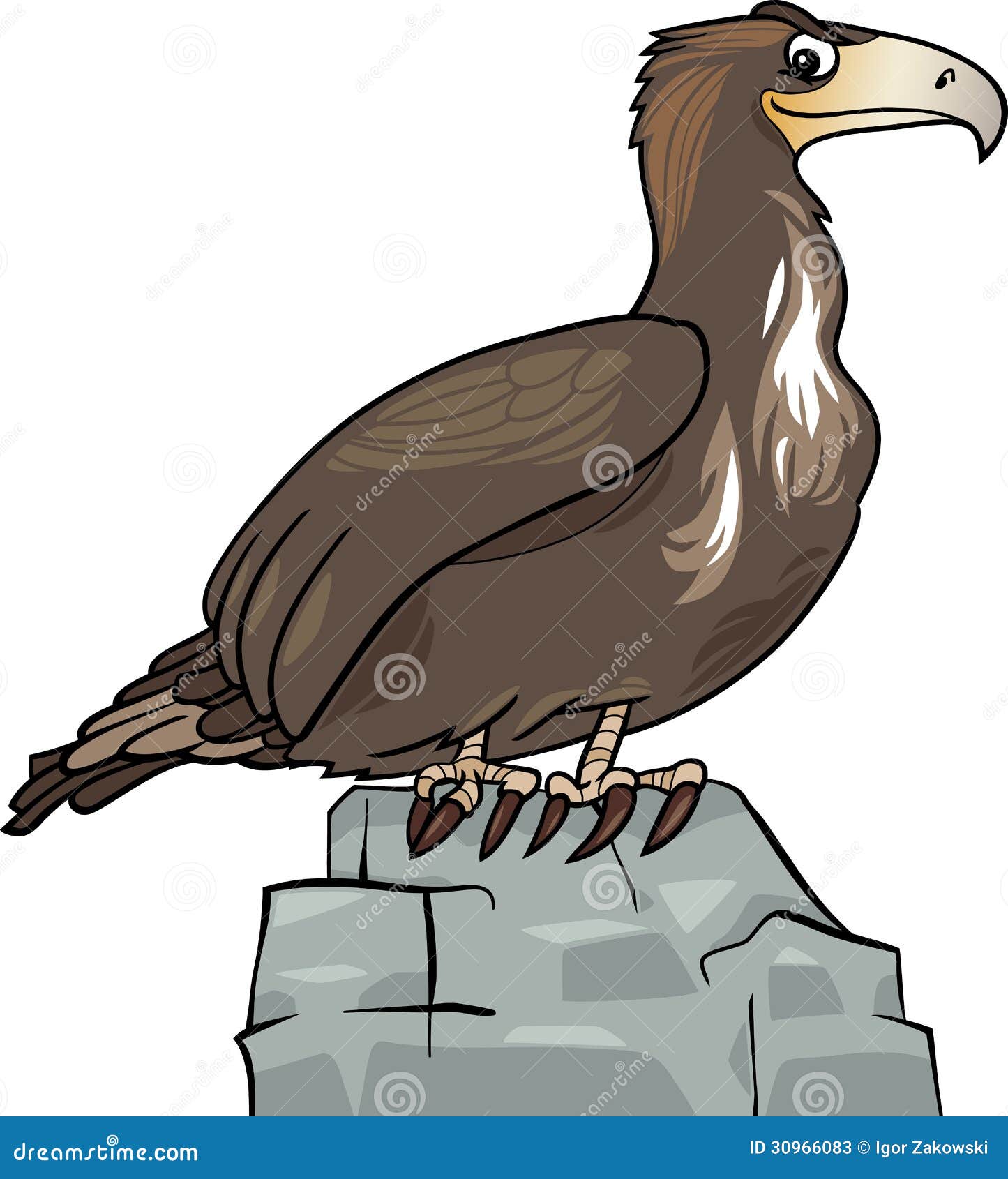 Cartoon eagle wild bird stock vector. Illustration of wings - 30966083