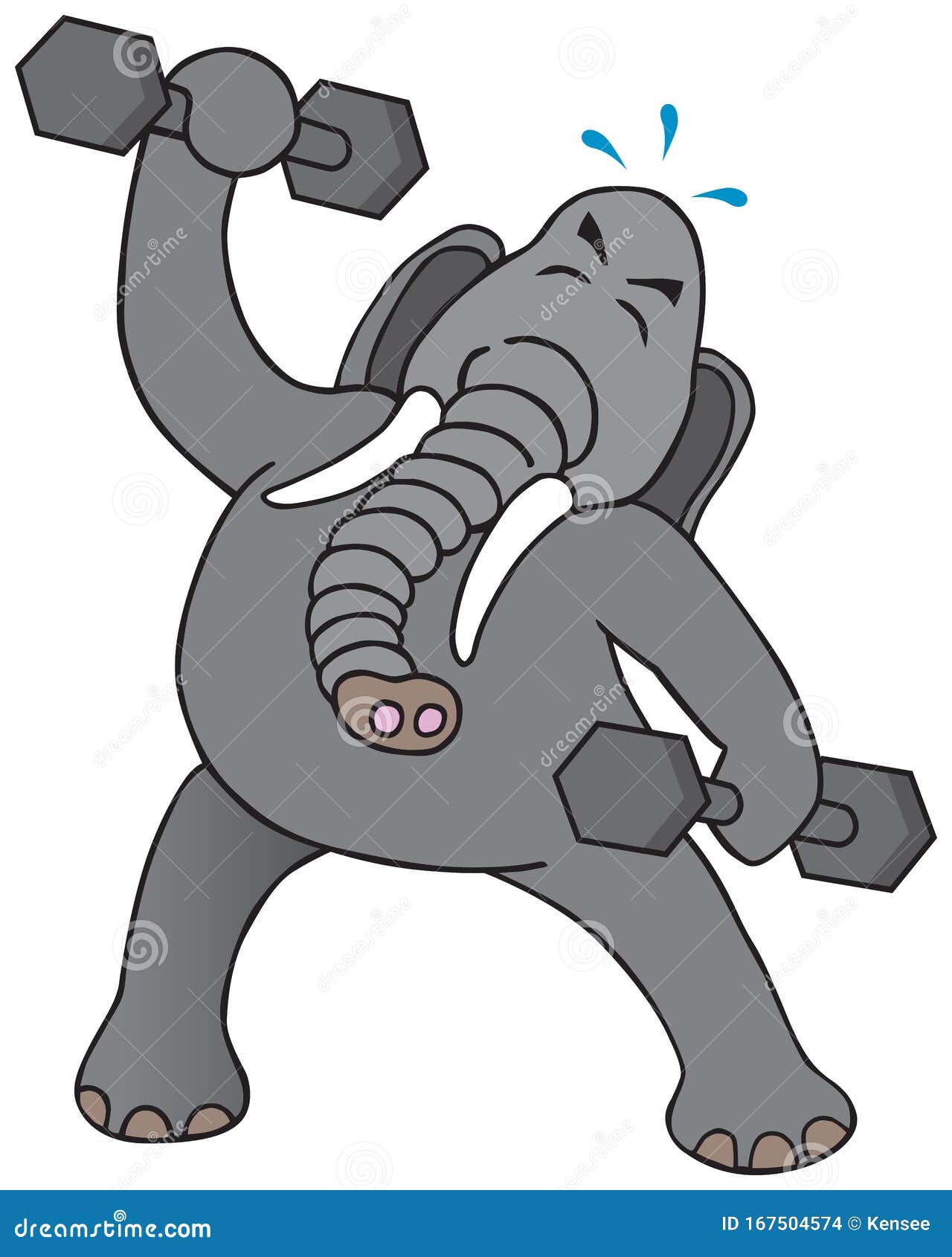 Elephant Exercising with Weights Stock Vector - Illustration of cartoon ...