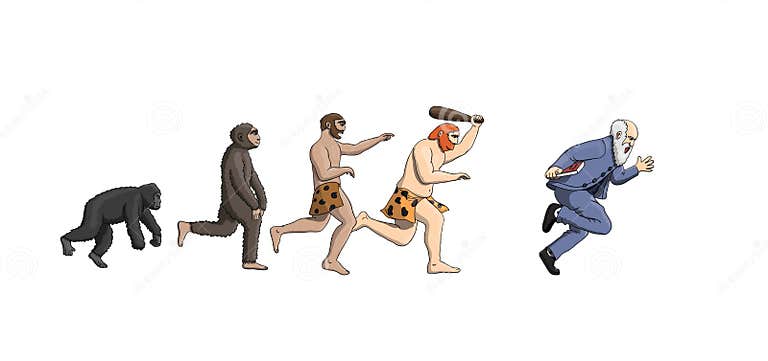Cartoon Evolution Theory, Progression of Man Mankind Stock Vector ...