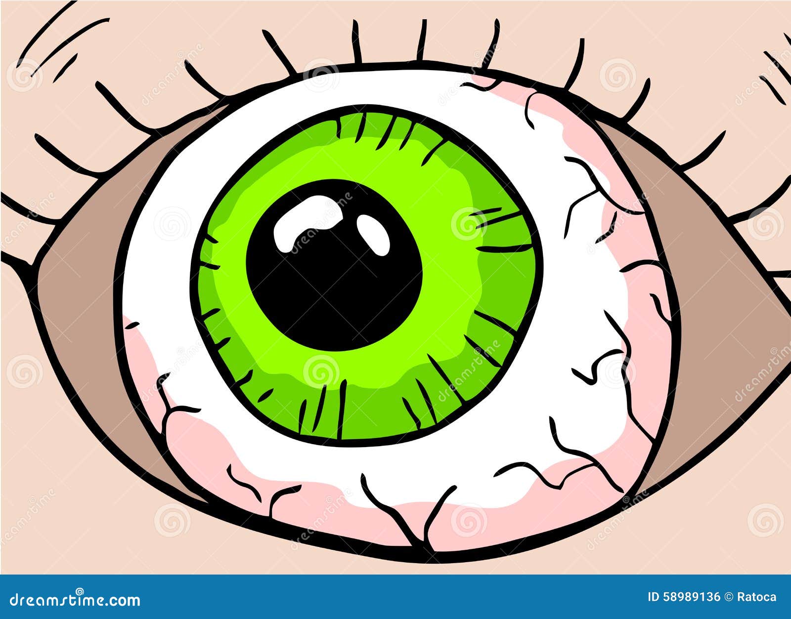 Cartoon eye stock vector. Illustration of draw, looking - 58989136