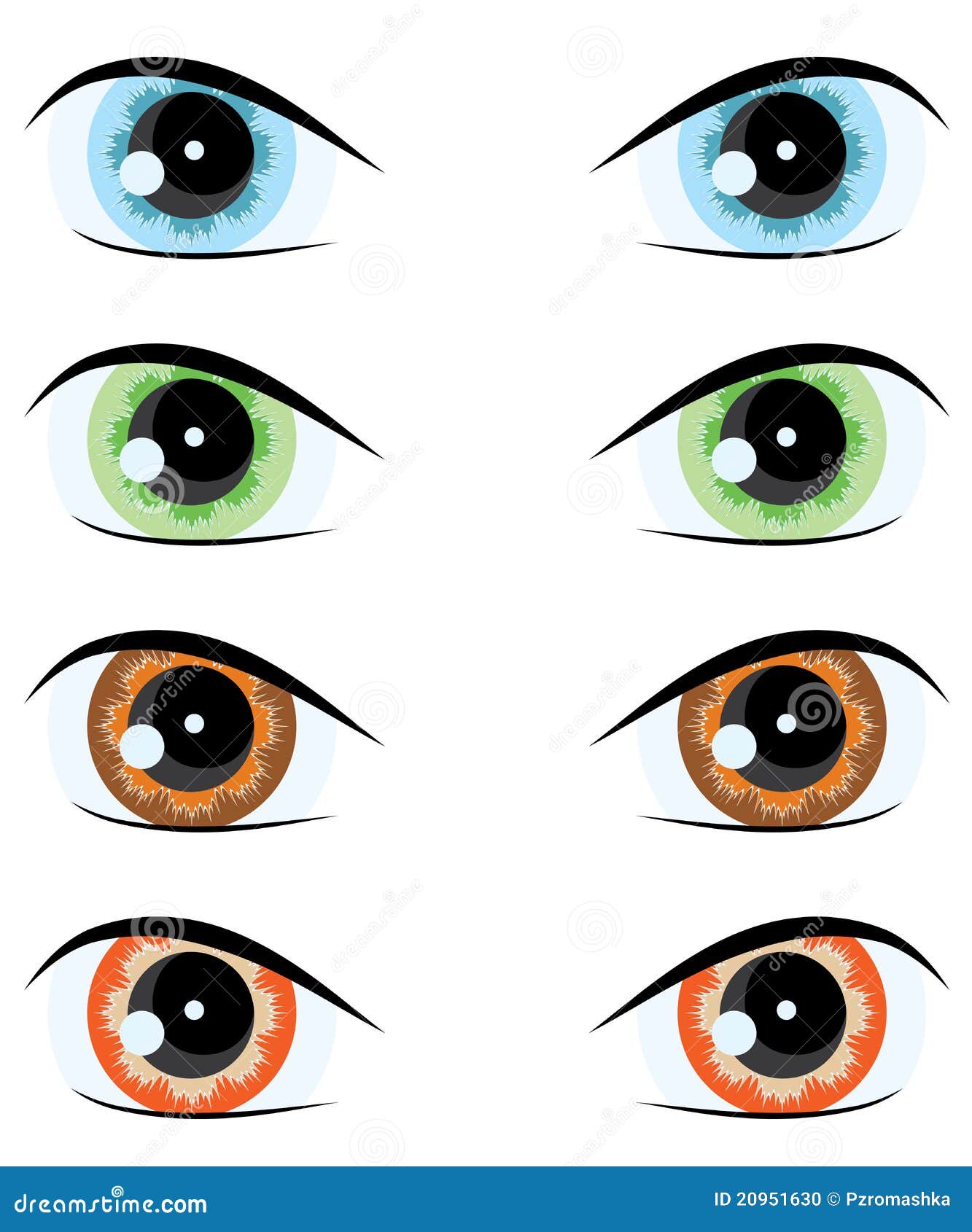 Cartoon eye. Vector set stock vector. Illustration of color - 20951630
