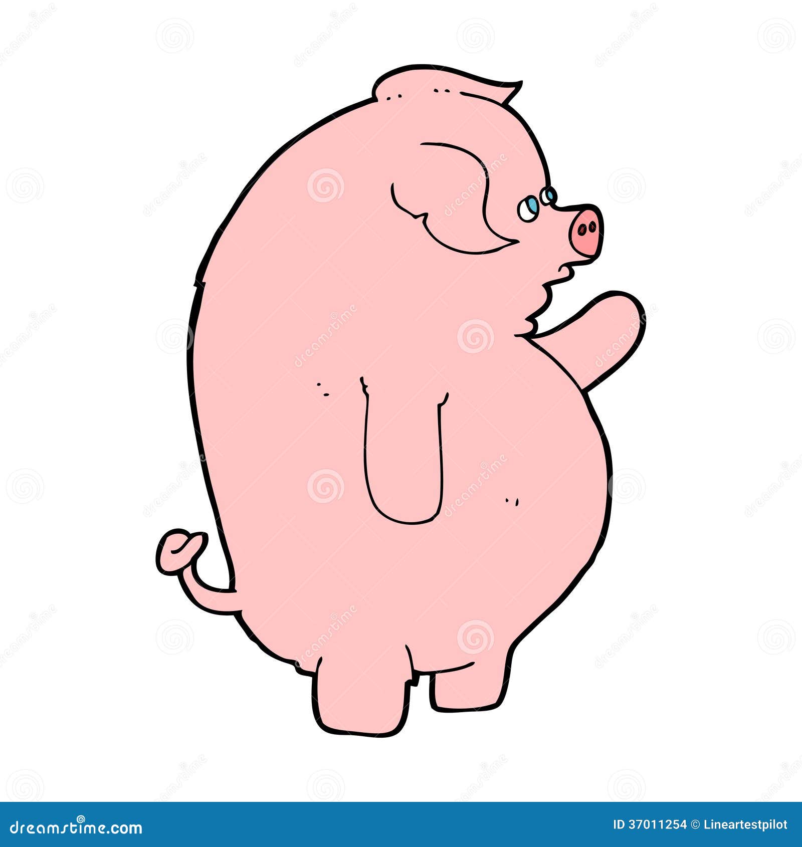 Cartoon Fat Pig Stock Images - Image: 37011254