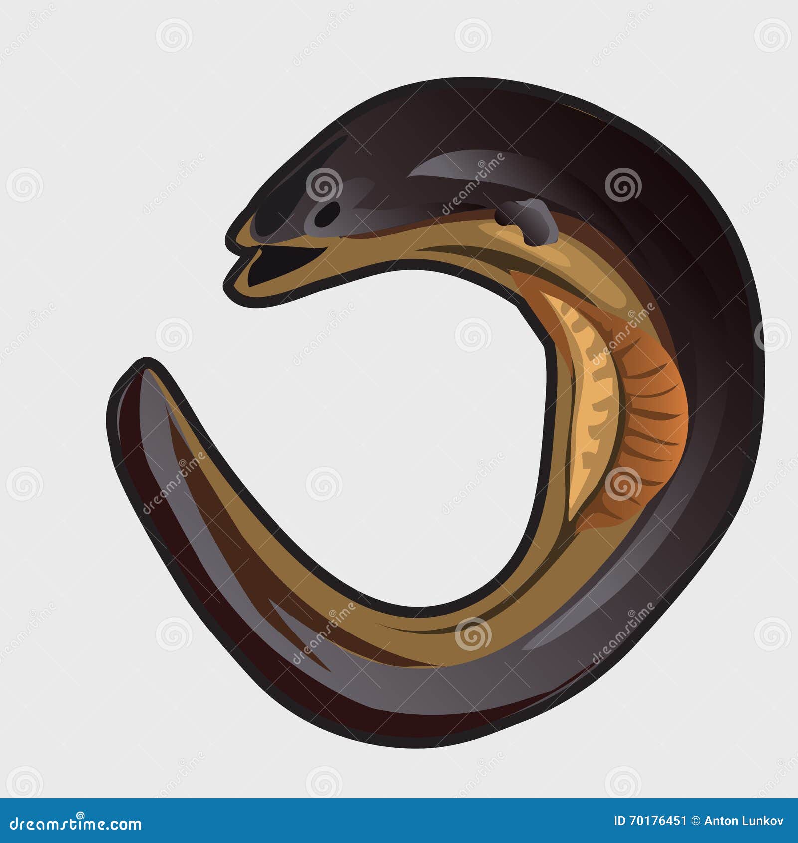 Cartoon Fish European Eel. Vector Illustration | CartoonDealer.com ...