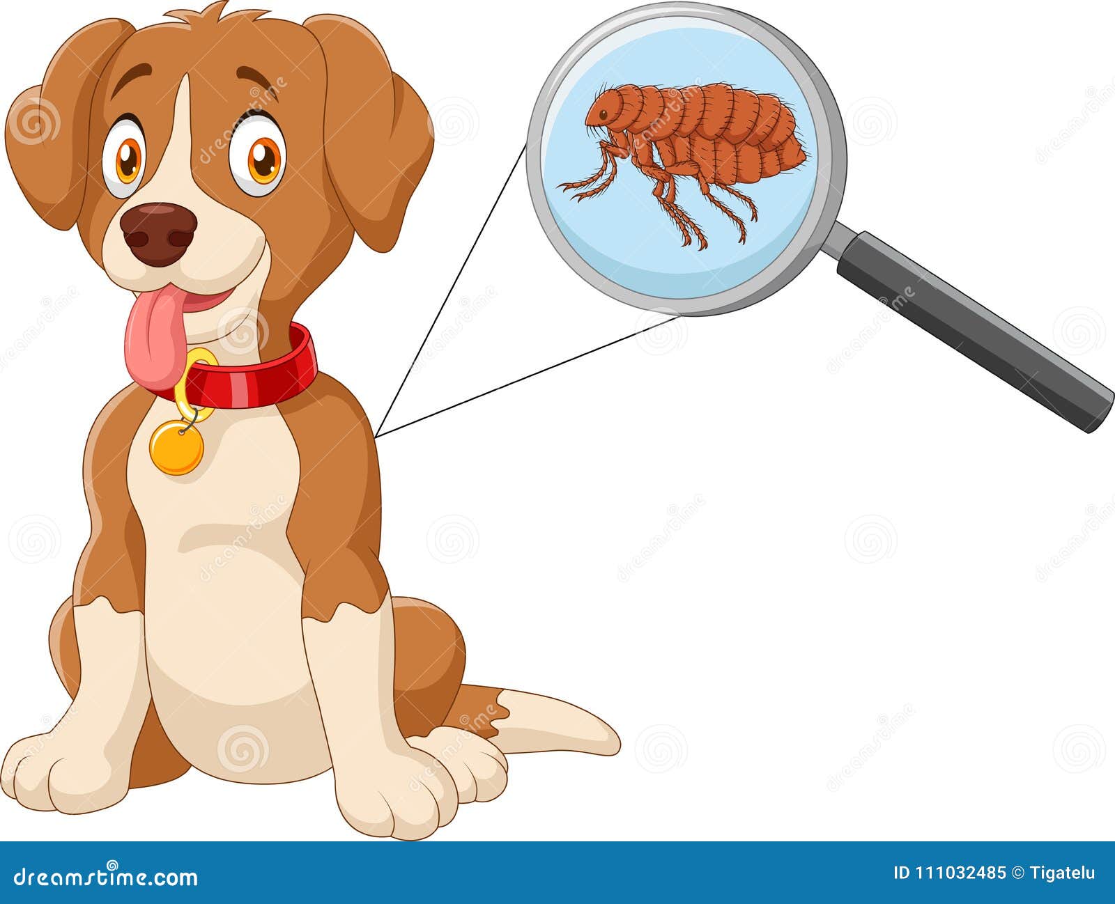 Cartoon flea infested dog stock vector. Illustration of domestic ...