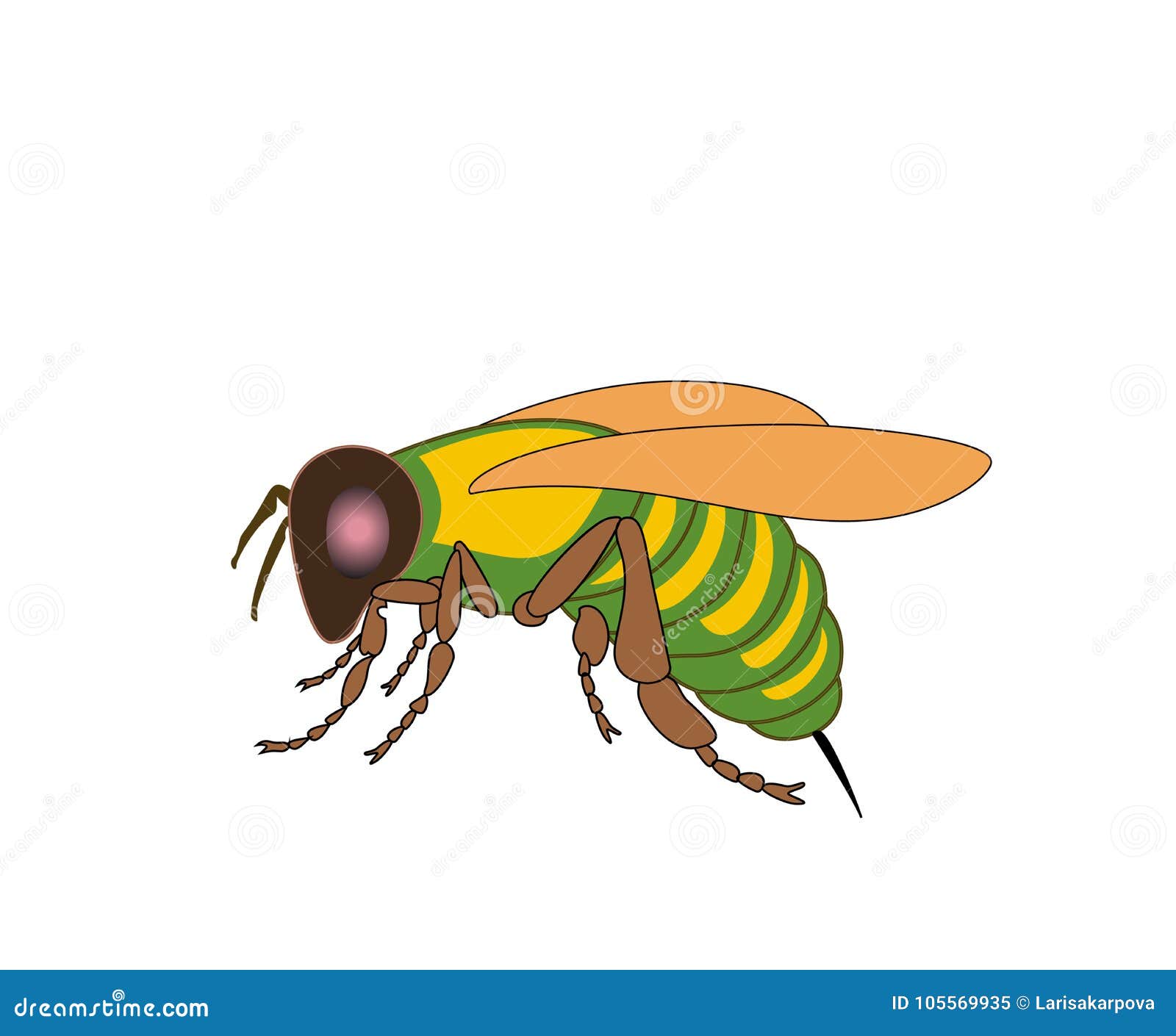 Cartoon Fly, Insect with Bright Colors. Housefly Volume Stock ...
