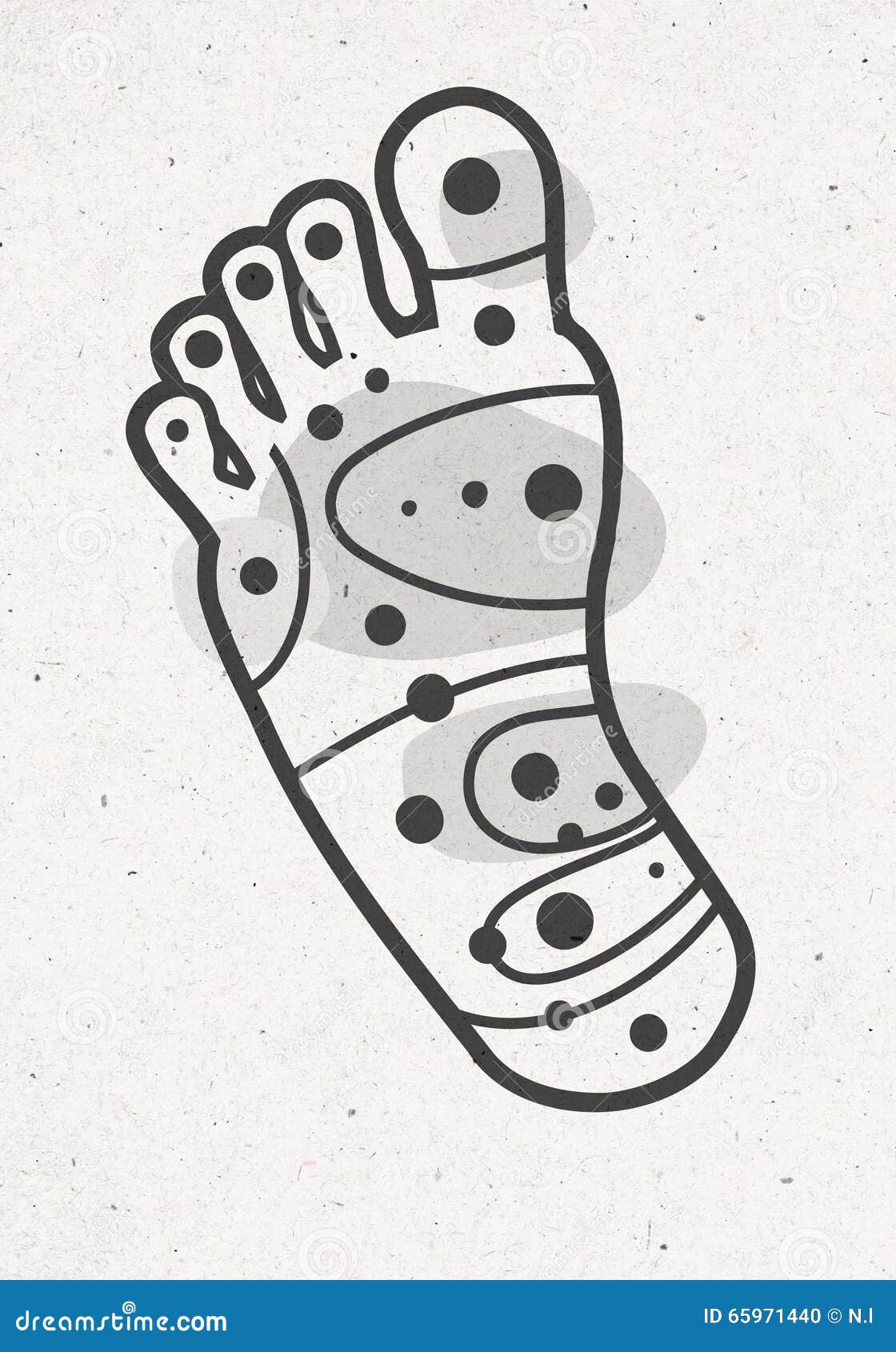 Foot Reflexology Chart Cartoon Vector | CartoonDealer.com #96620033