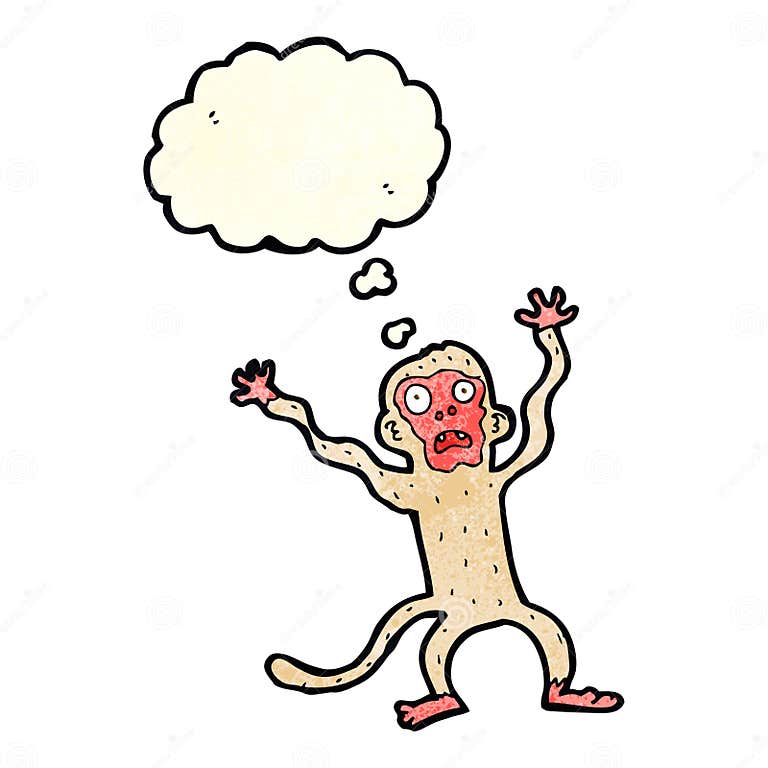 Cartoon Frightened Monkey with Thought Bubble Stock Illustration ...