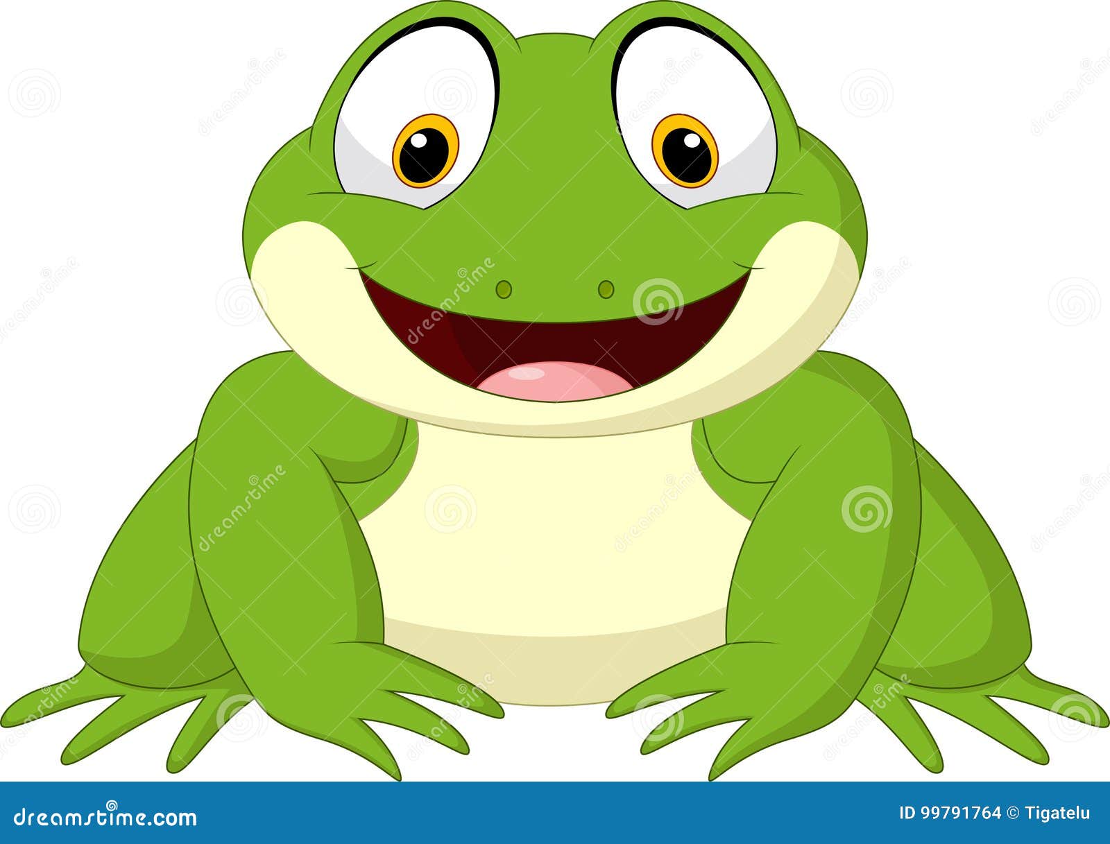 Frog,isolated On A White Background, Ultra Realistic Stock Photo ...