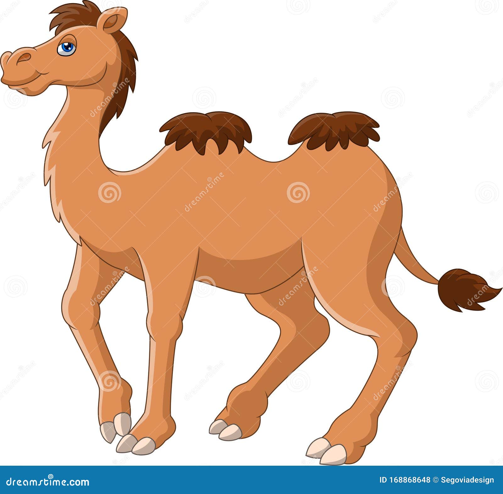 Cartoon Funny Camel Smile and Standing Stock Vector - Illustration of ...