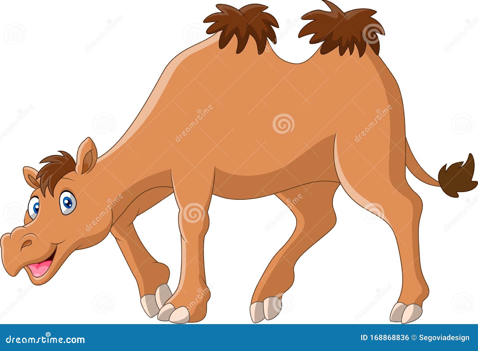 Cartoon Funny Camel Smile and Standing Stock Vector - Illustration of ...