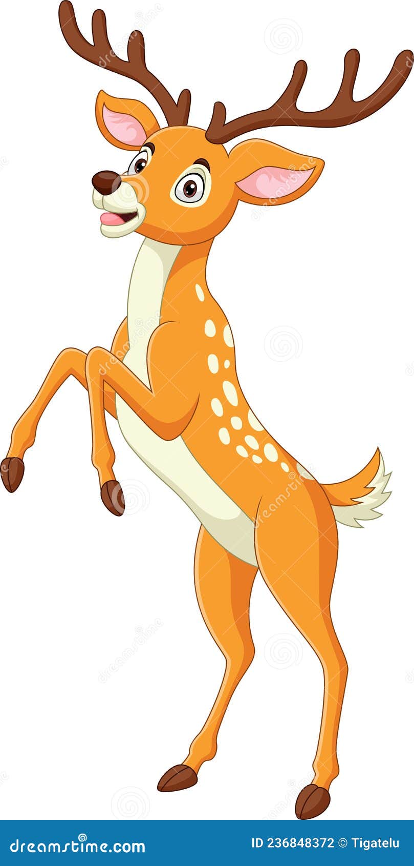 Roe Deer Standing In A Field. Cartoon Flat Style Drawing Vector ...