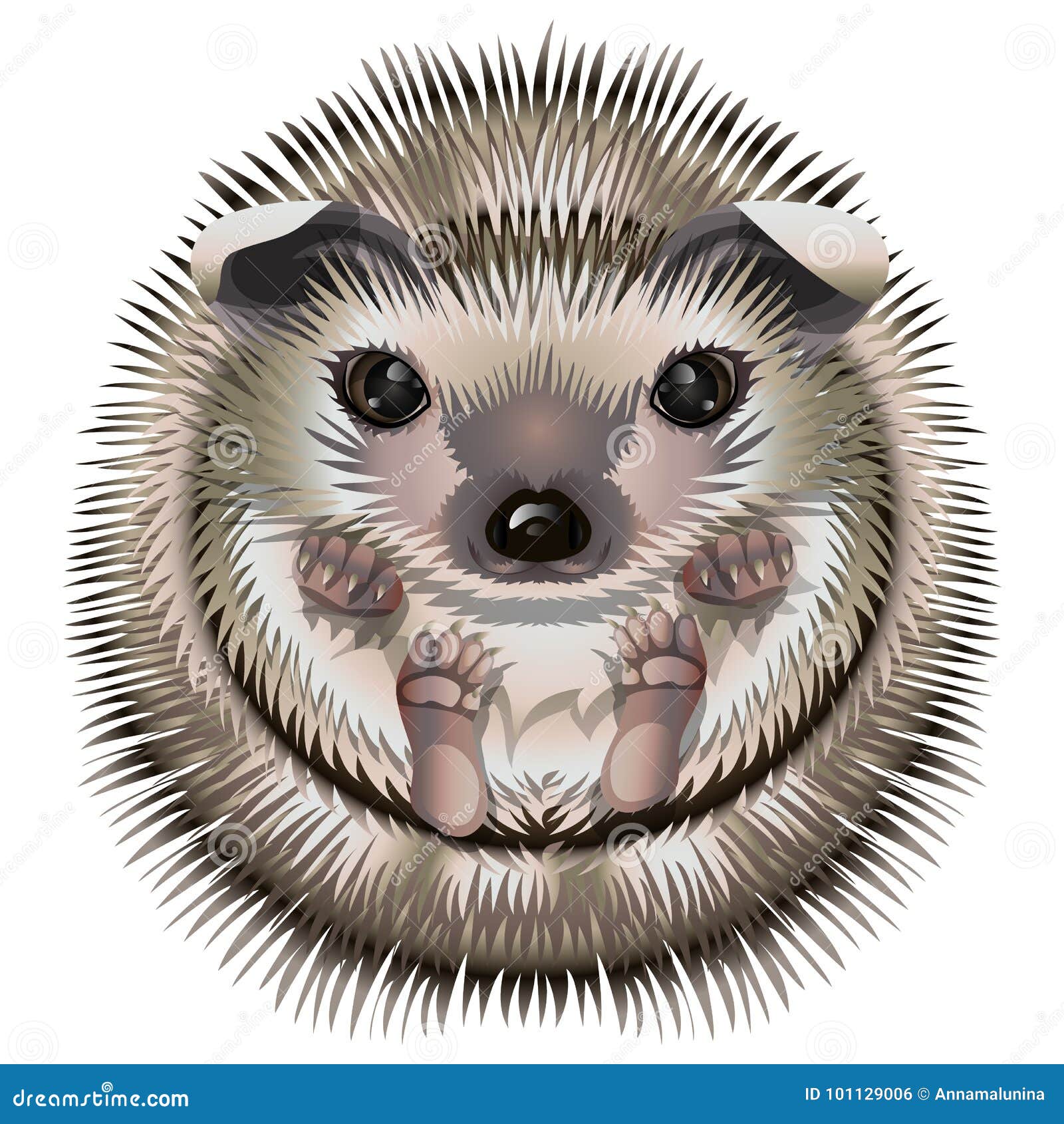 Cartoon funny hedgehog stock vector. Illustration of isolated - 101129006