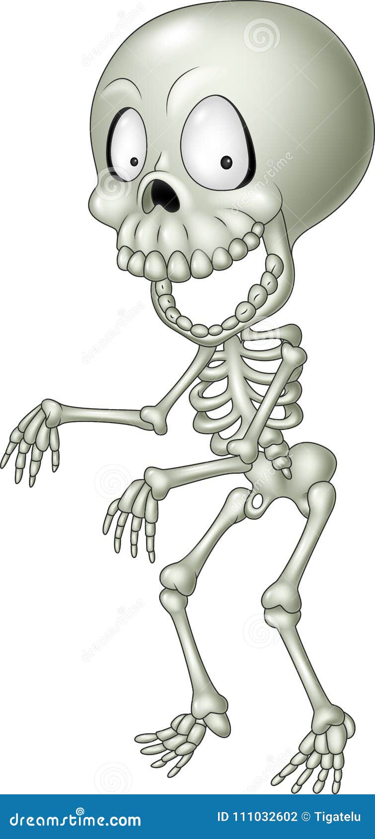 Cartoon Funny Human Skeleton Stock Vector - Illustration of design ...
