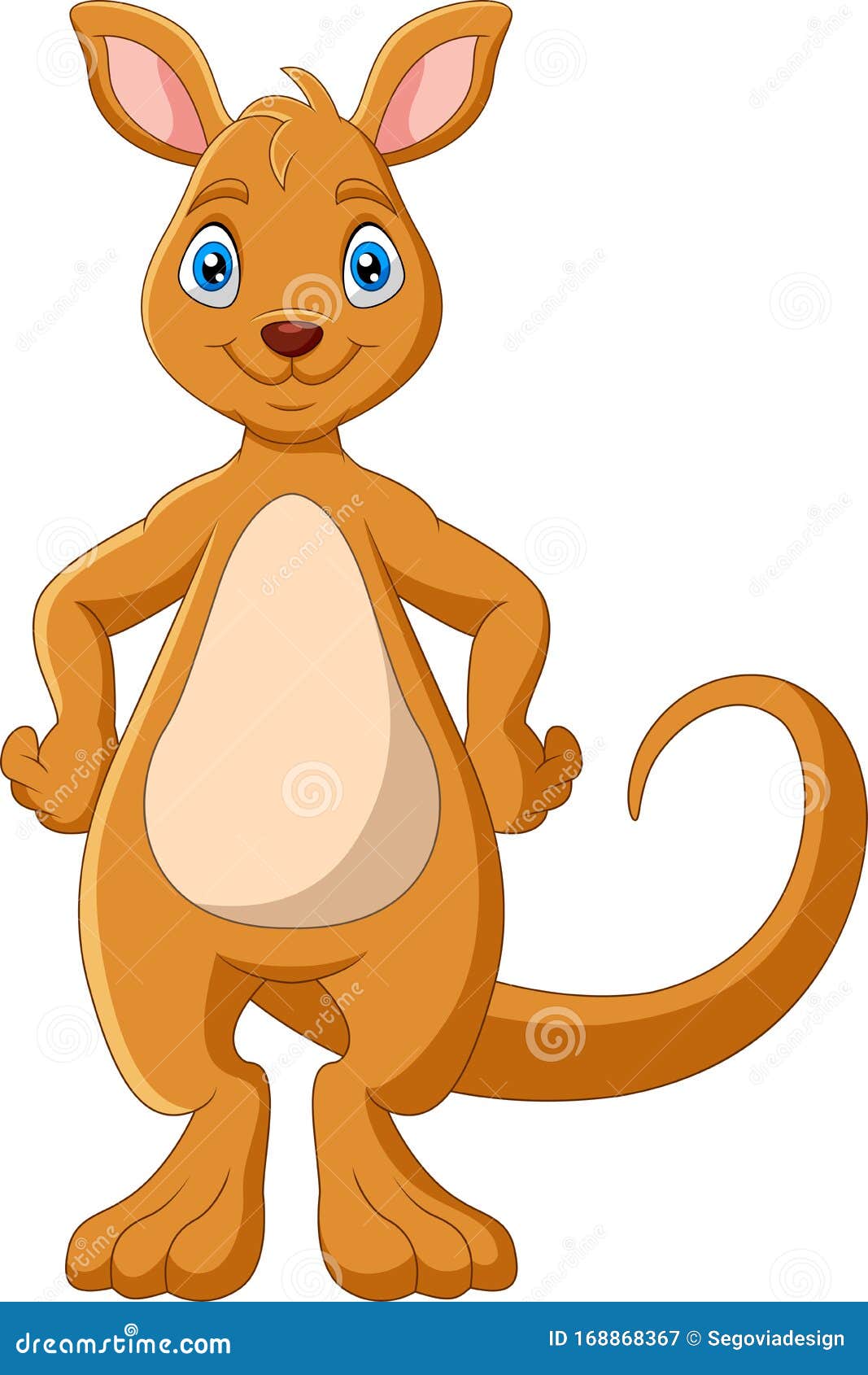 Cartoon Funny Kangaroo is Smiling Stock Vector - Illustration of pouch ...