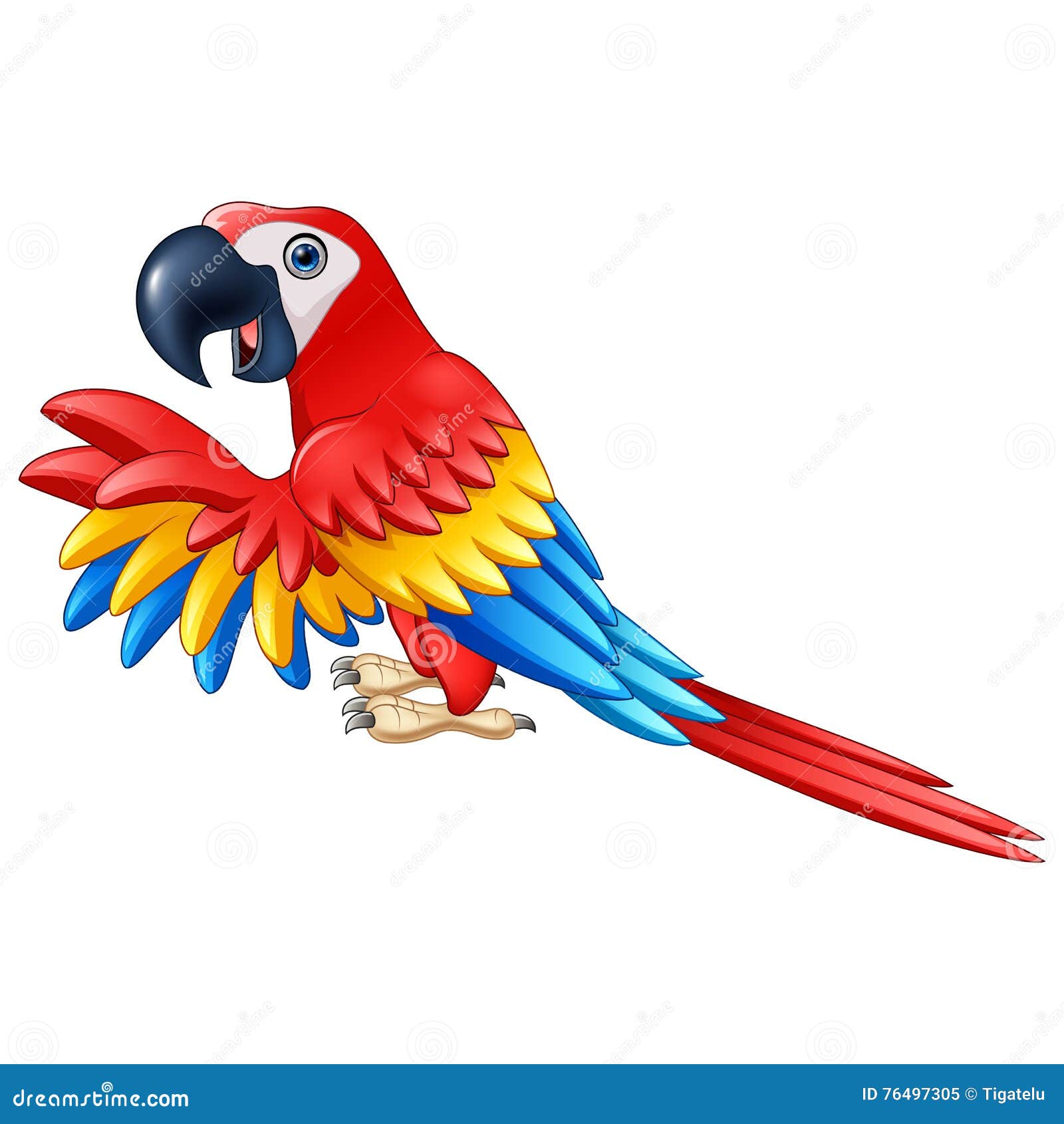 Scarlet Macaw Flying Animation