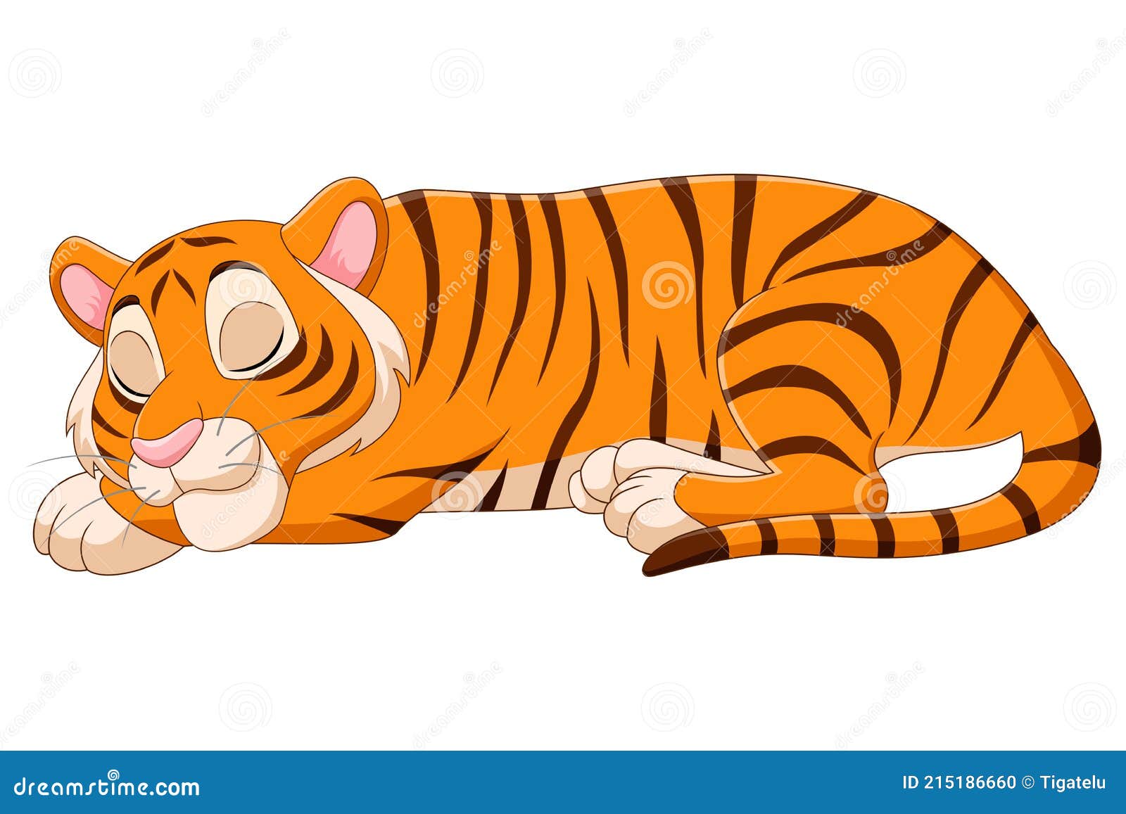 Cartoon Funny Tiger Sleeping on White Background Stock Vector ...