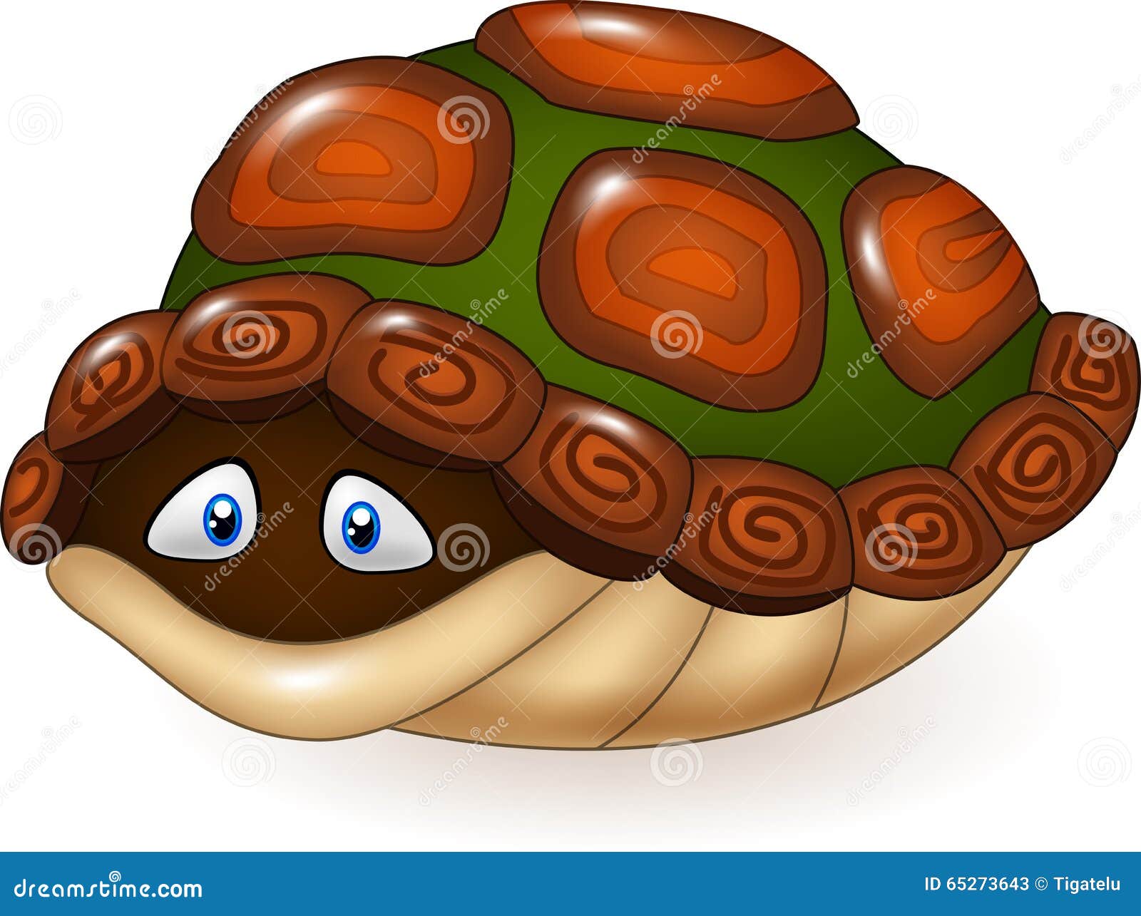 Cartoon Funny Turtle Hides in Its Shell Stock Vector - Illustration of ...
