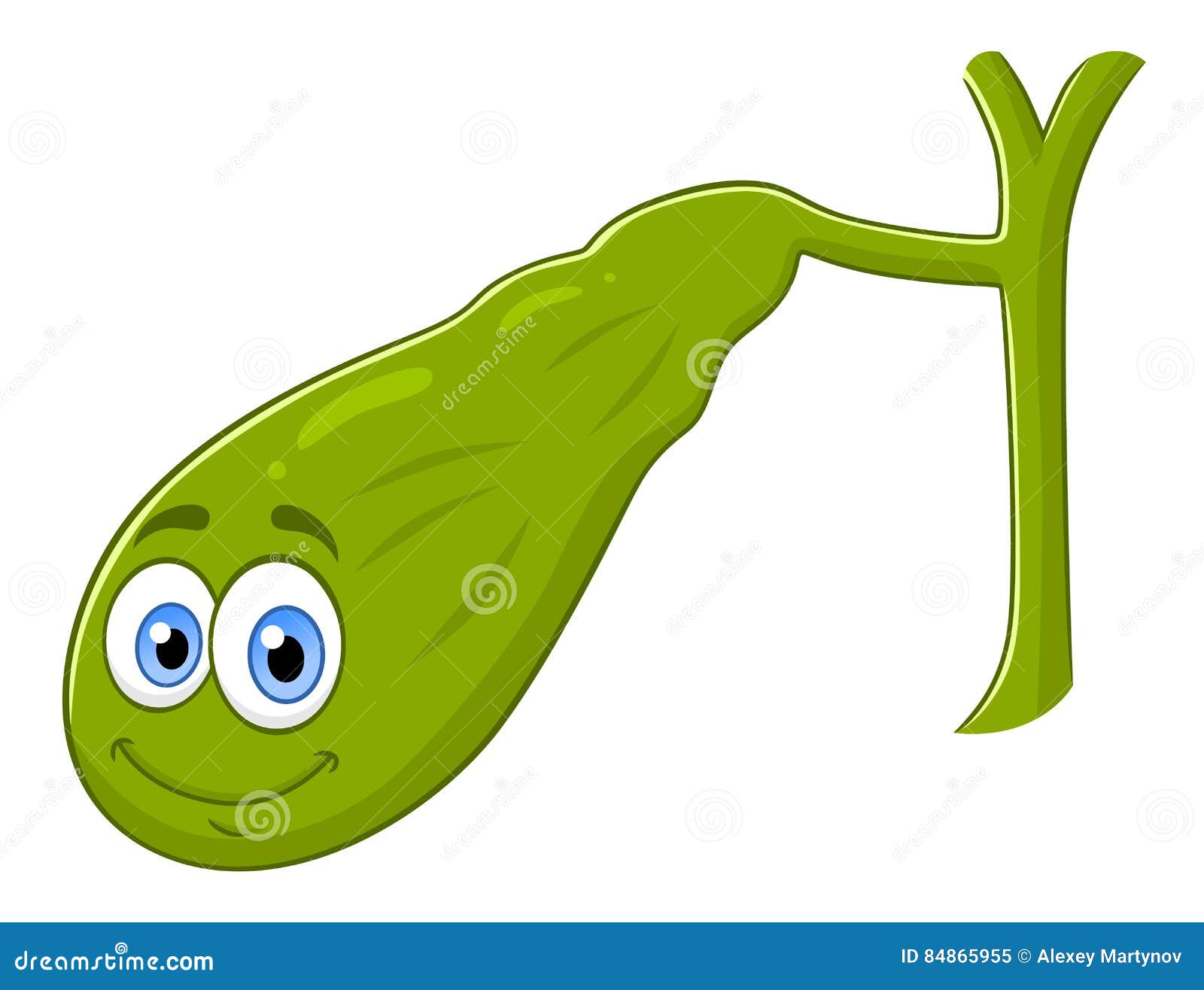 Cartoon Gallbladder With Bile Duct Stock Photo | CartoonDealer.com ...