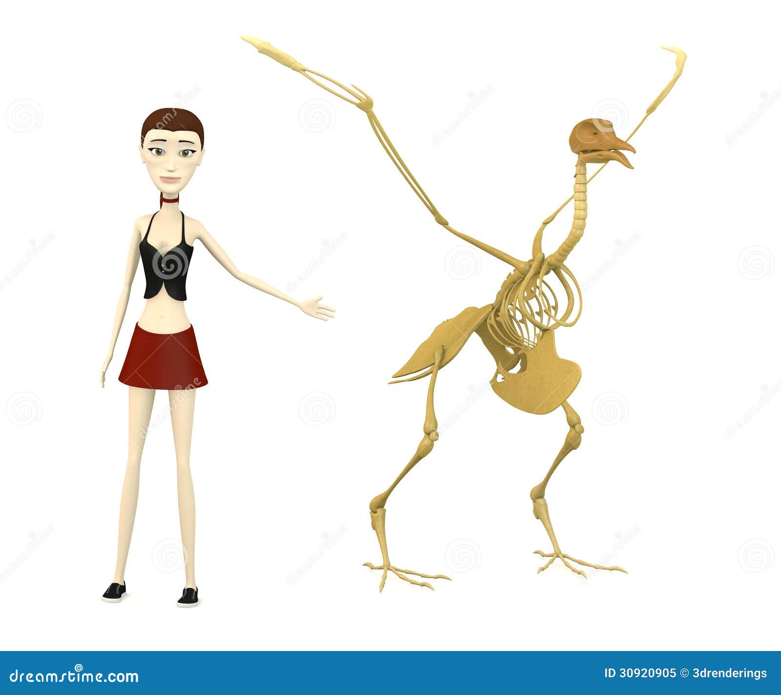 Bird Skeleton Silhouette Isolated On White Background. Animal Anatomy ...