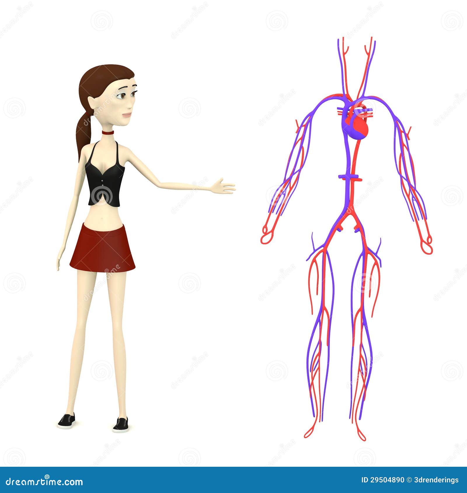 Cartoon Girl With Circulatory System Royalty-Free Stock Image ...
