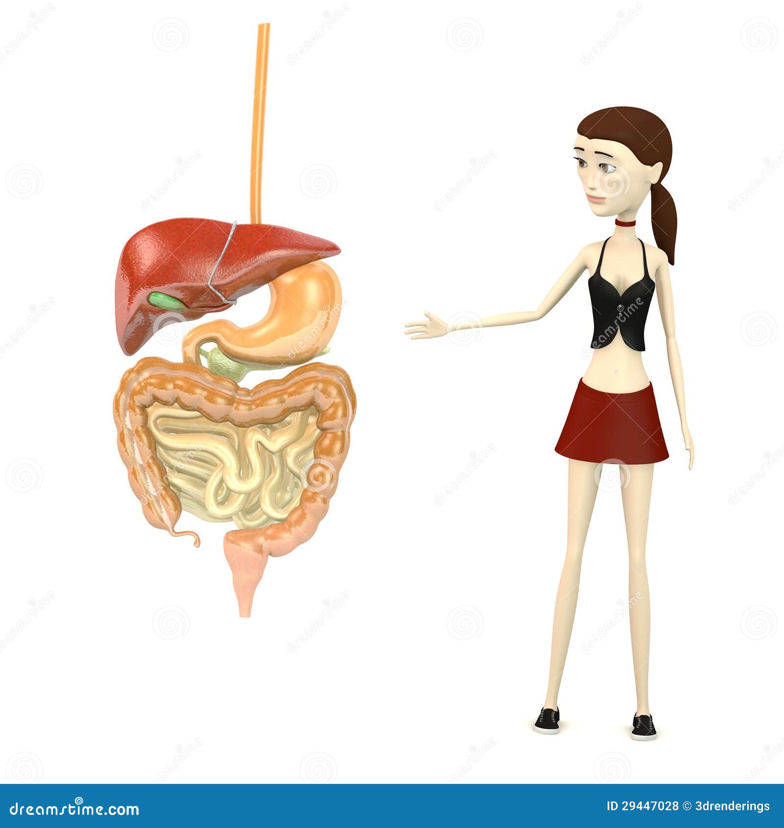 Cartoon Girl with Digestive System Stock Illustration - Illustration of ...