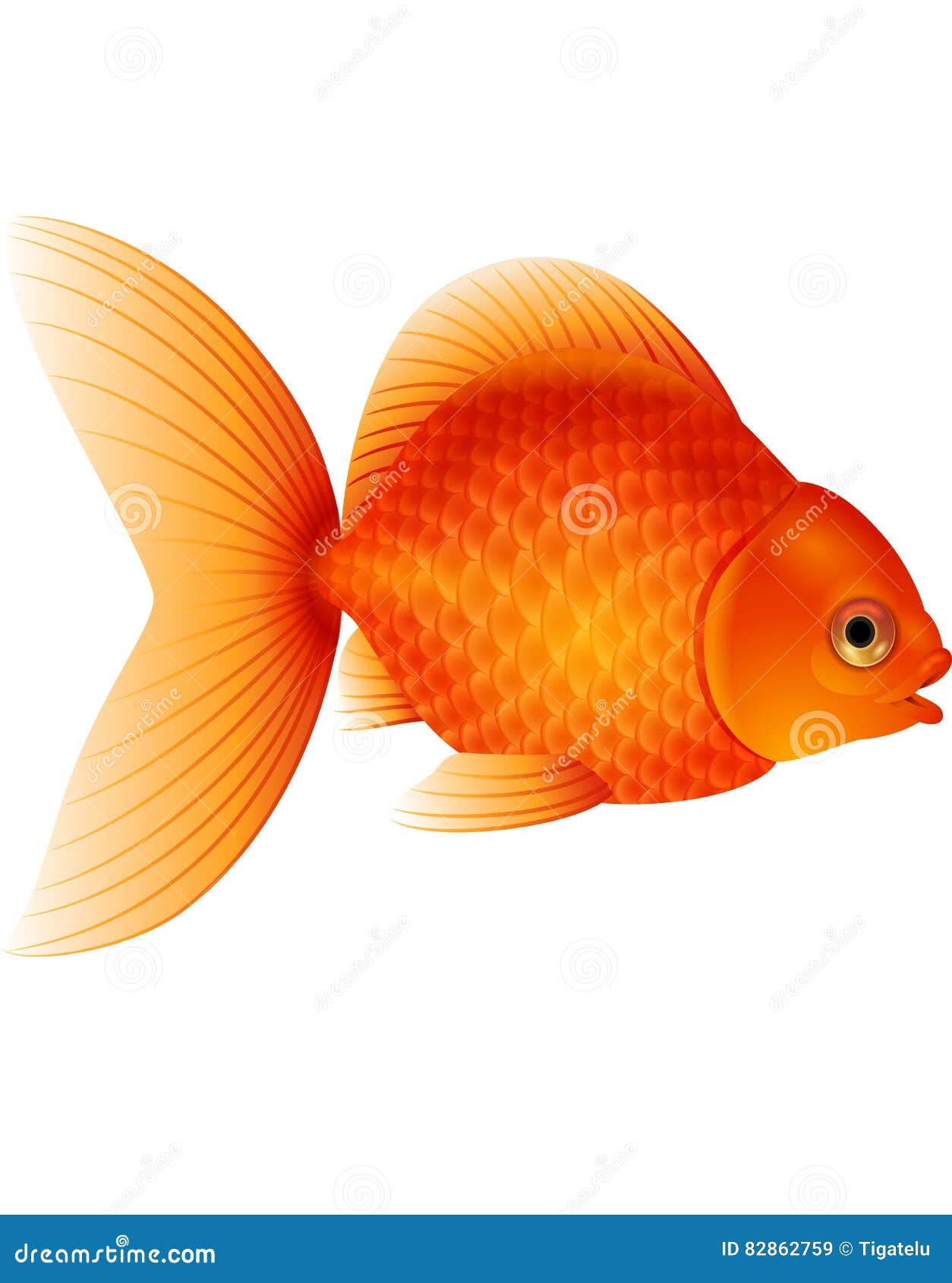 Cartoon Goldfish,vector Illustration,flat Style | CartoonDealer.com ...